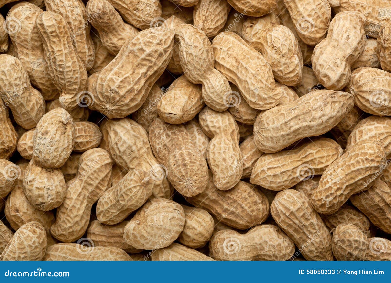 In-shell peanuts stock image. Image of snack, seed, groundnut - 58050333