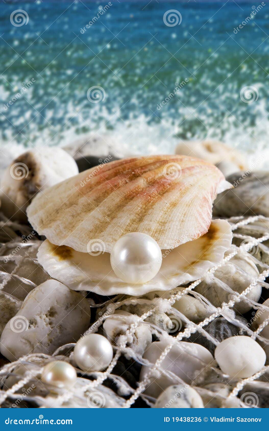 Shell with pearl. stock photo. Image of ridge, travel - 19438236