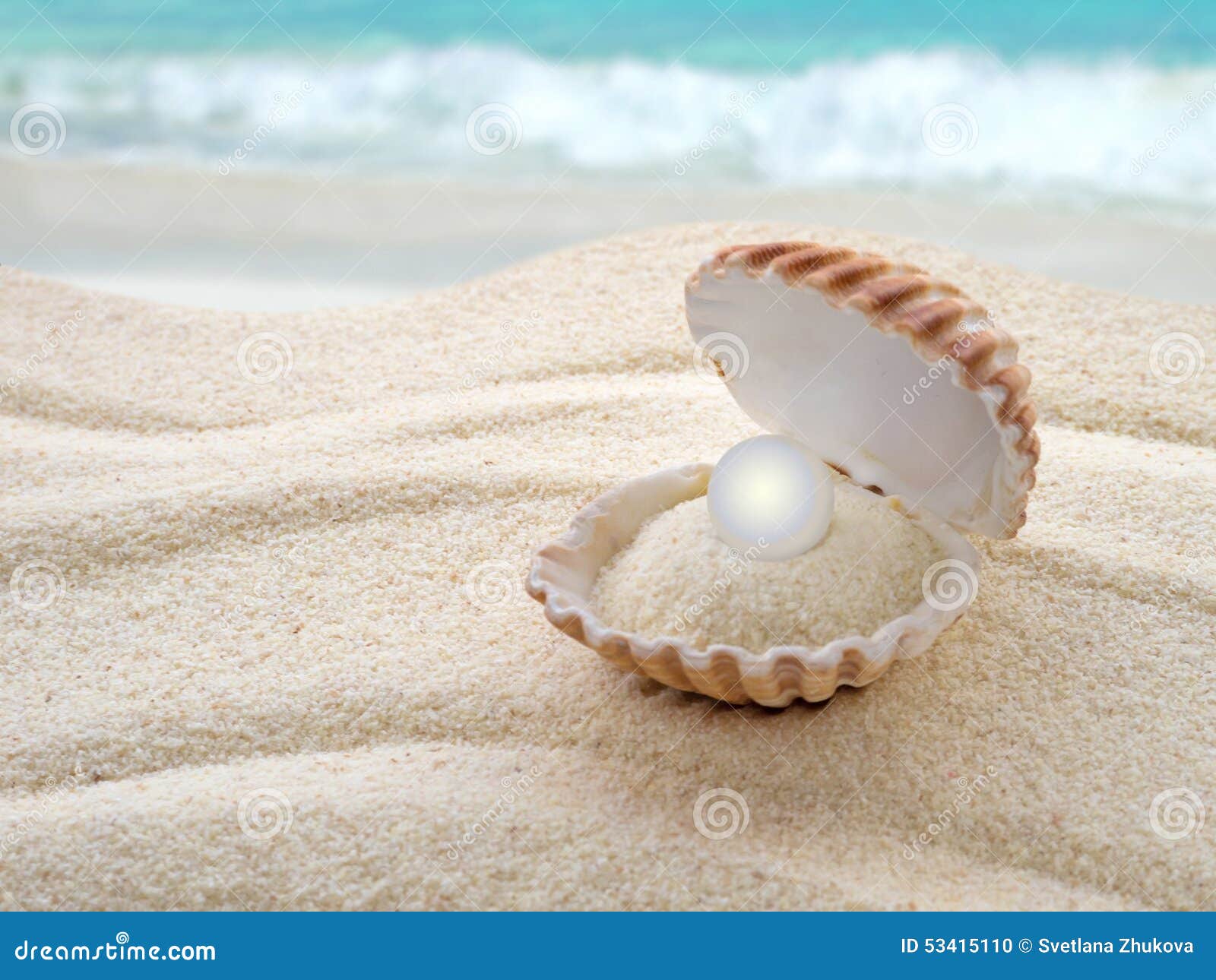 Shell with a pearl stock photo. Image of mother, sand - 53415110