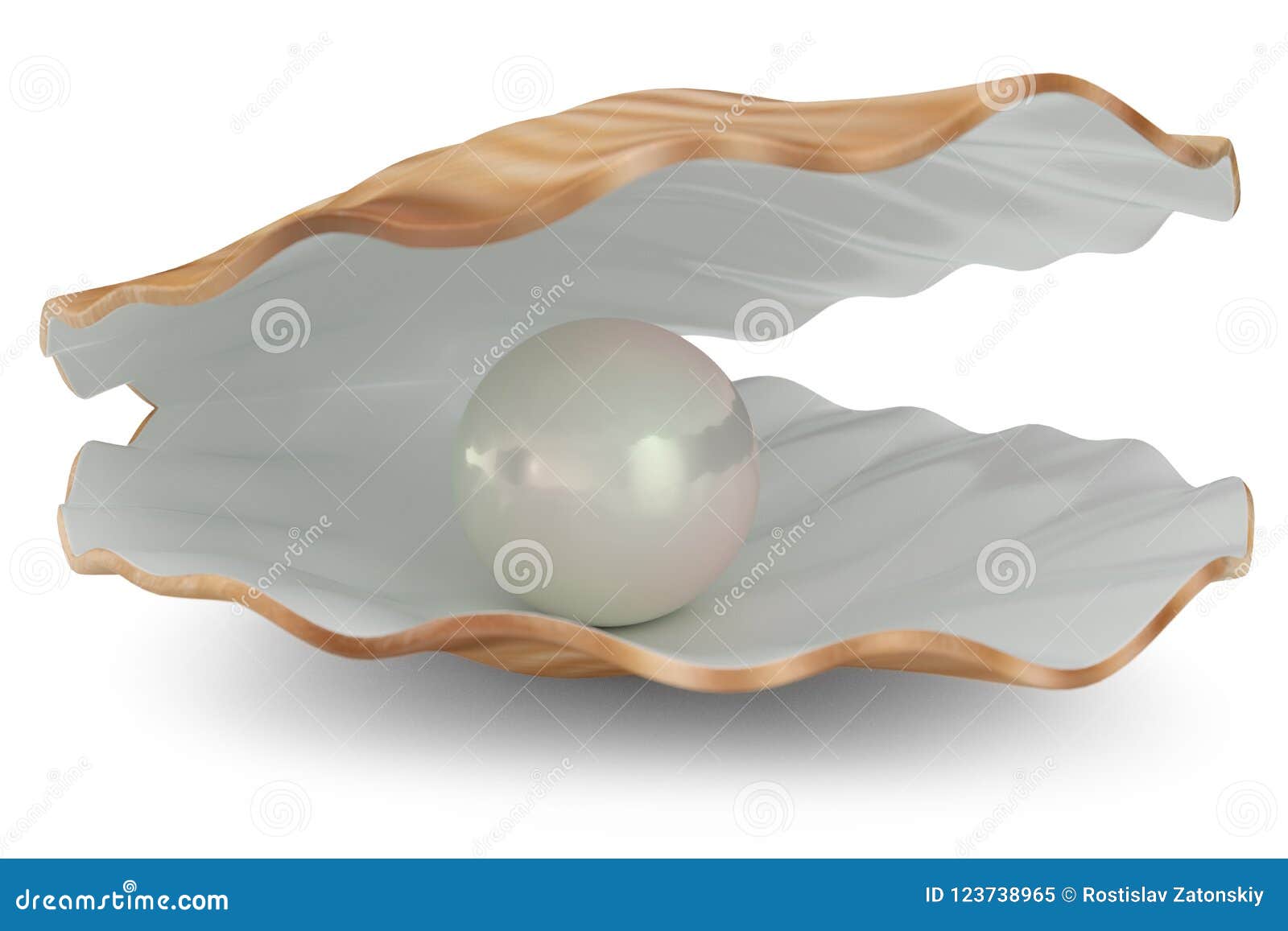 Pearl Open Shell Realistic Illustration. Natural Beautiful Single Pearl ...