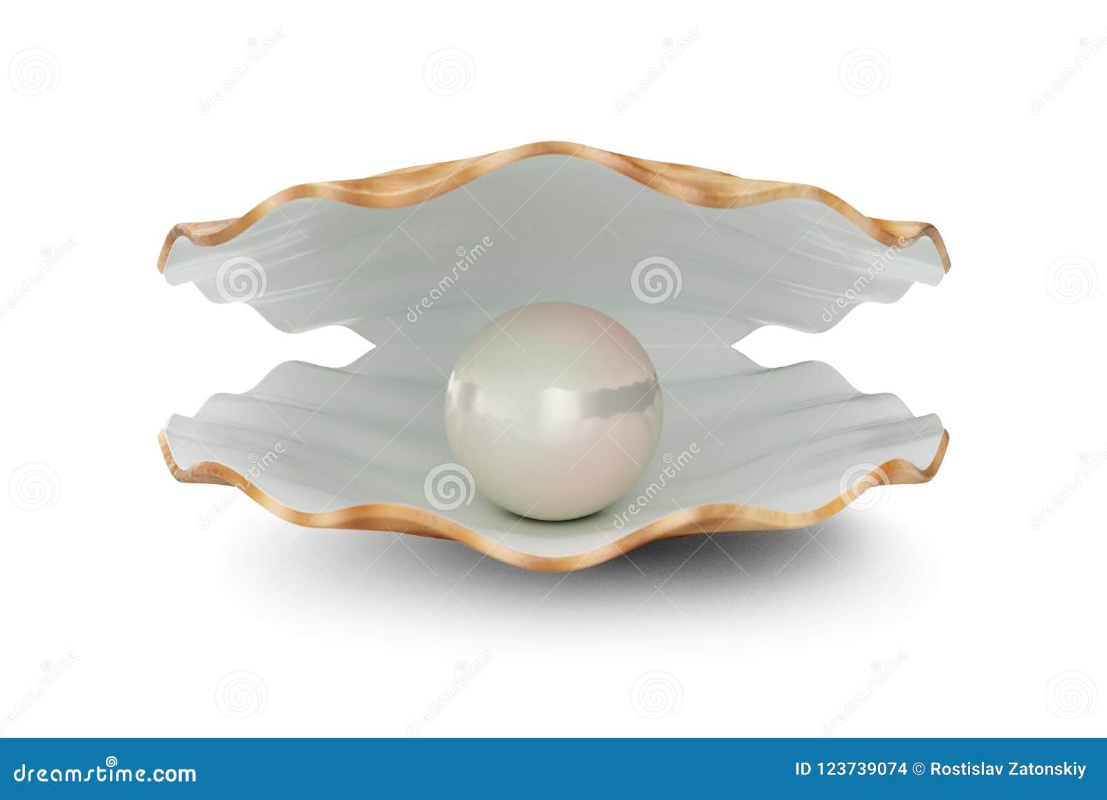 Open Clam Shell With Pearl