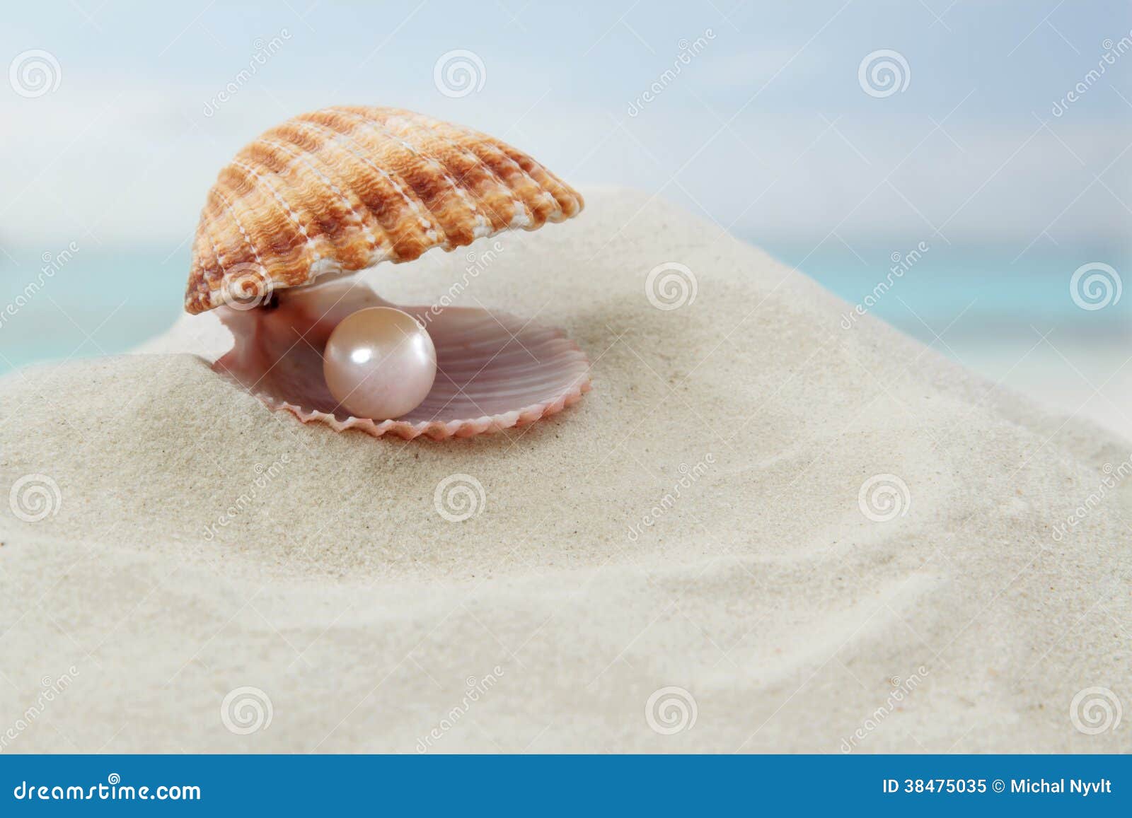 Shell with a pearl stock image. Image of positive, jewels - 38475035