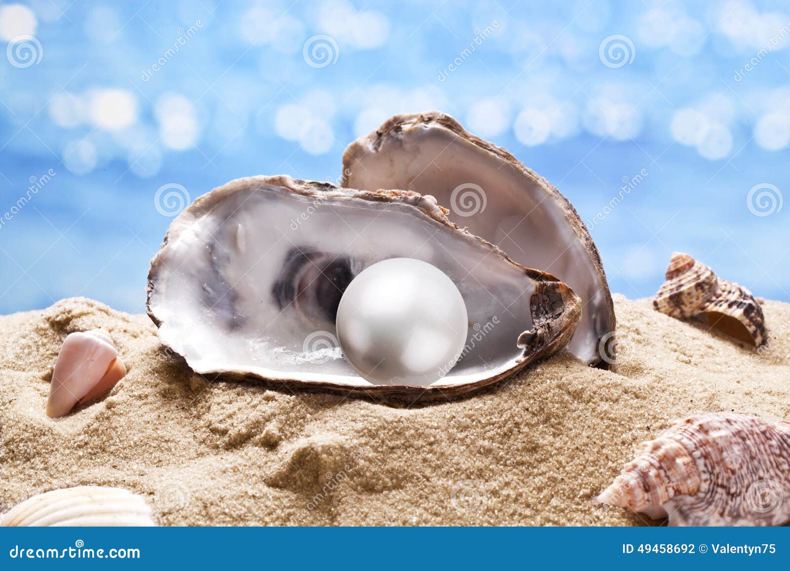 Shell with a pearl. stock photo. Image of jewelry, cancun - 49458692
