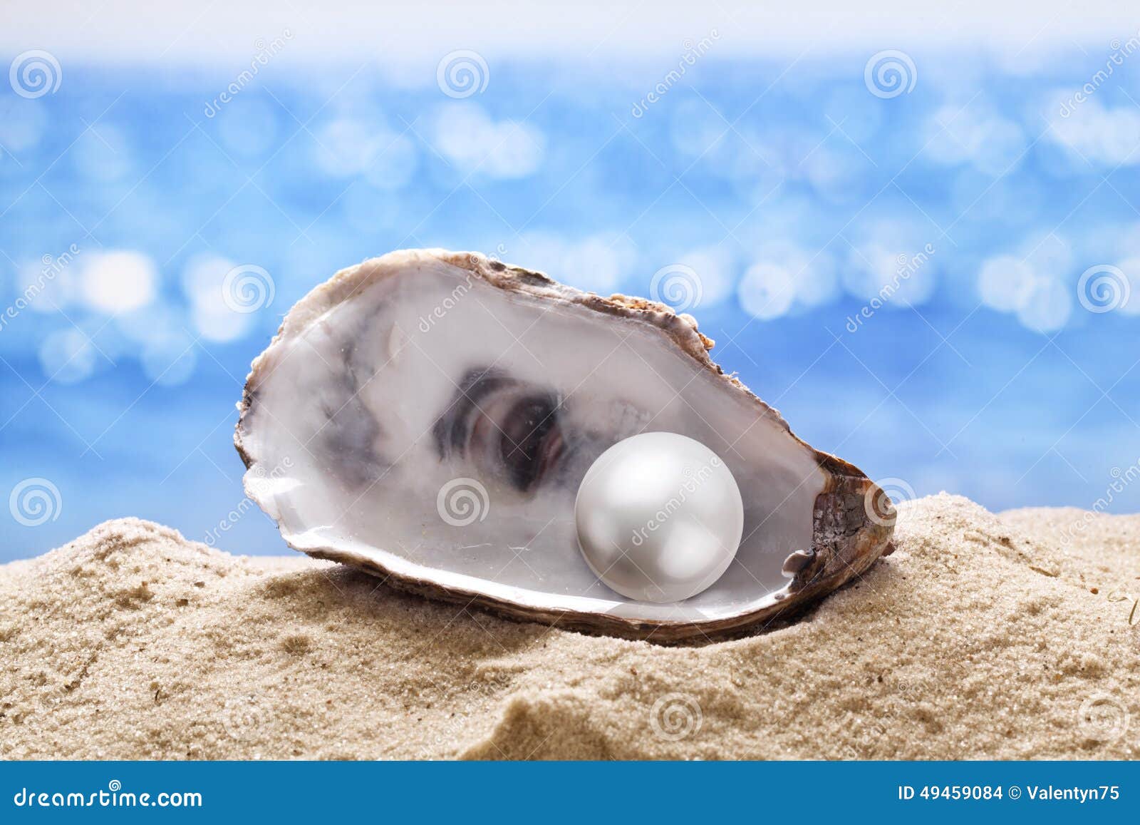 Shell with a pearl. stock photo. Image of cancun, jewelry - 49459084