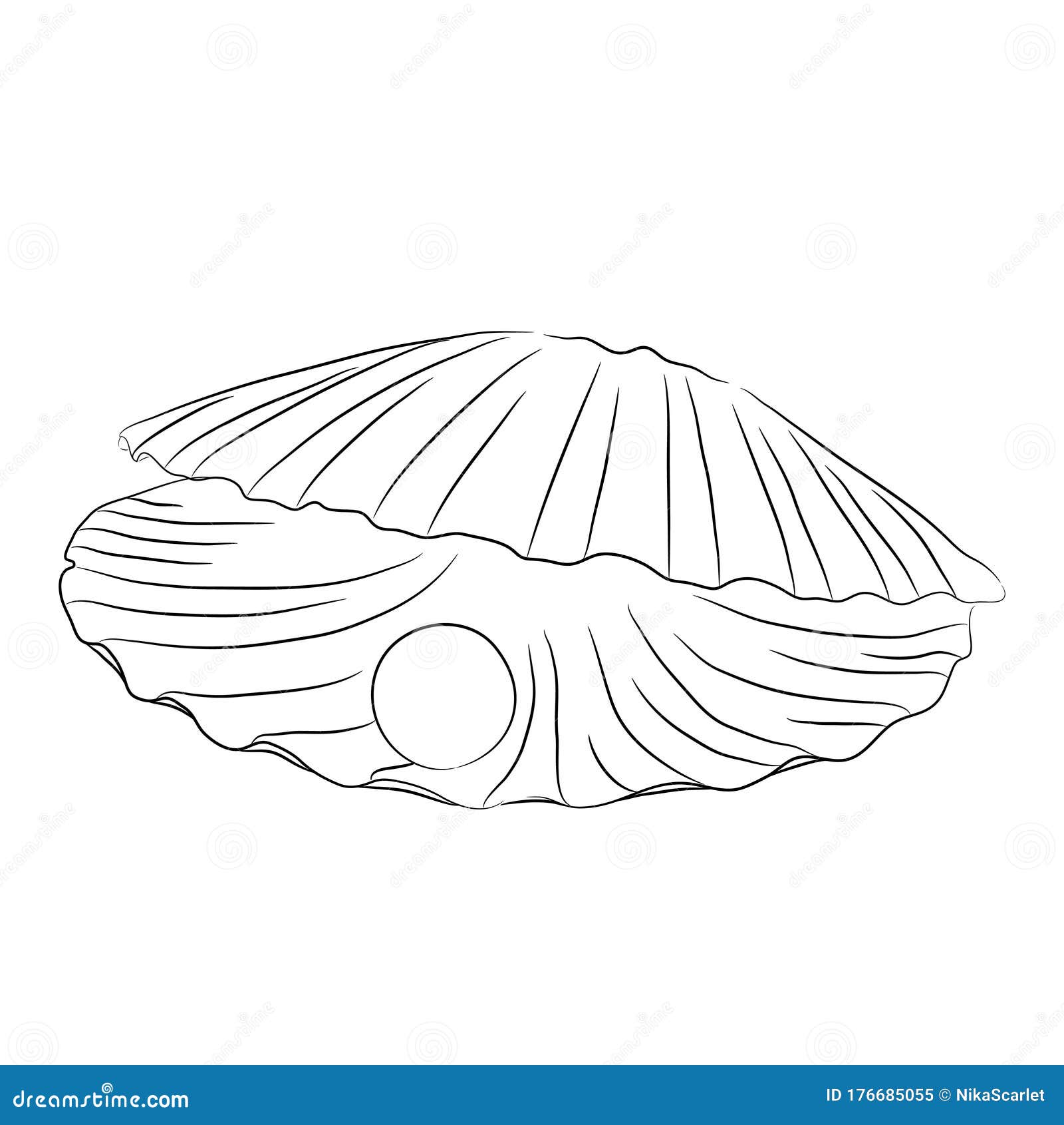 Shell with pearl sketch stock vector. Illustration of graphic - 176685055