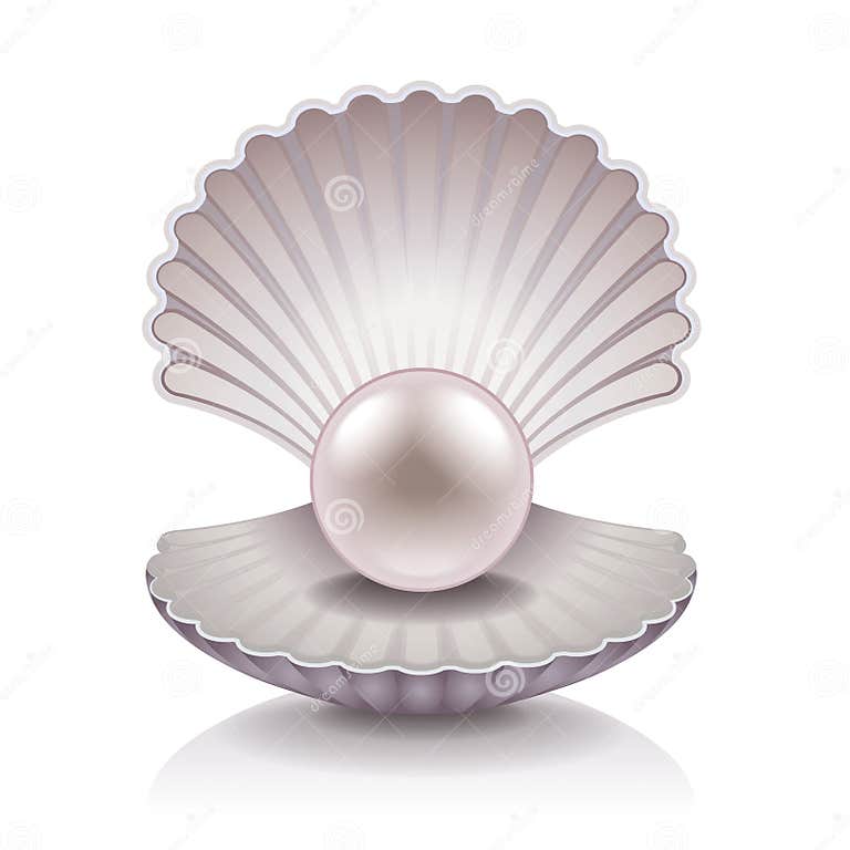 Shell with Pearl Vector Illustration Stock Vector - Illustration of ...