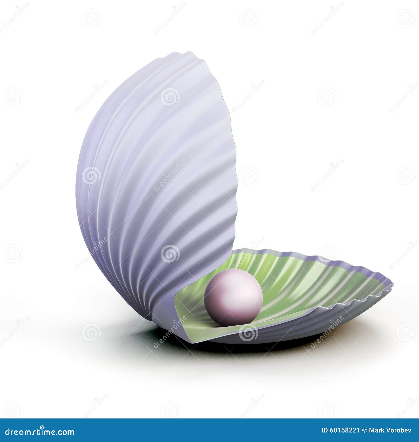 Shell Pearl on White Background. Stock Illustration - Illustration of ...