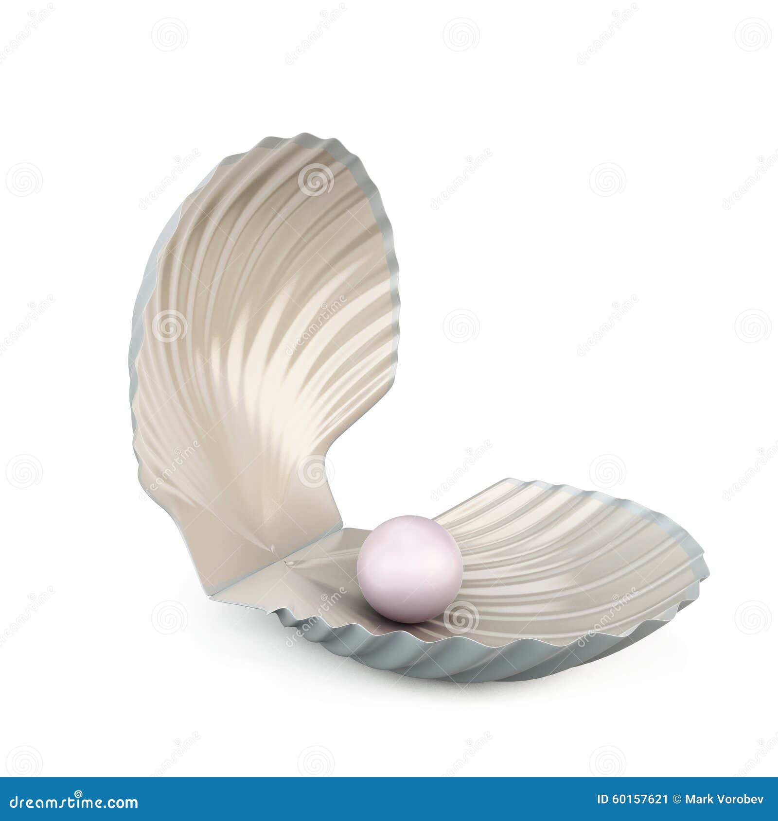 Shell Pearl on White Background. Stock Illustration - Illustration of ...