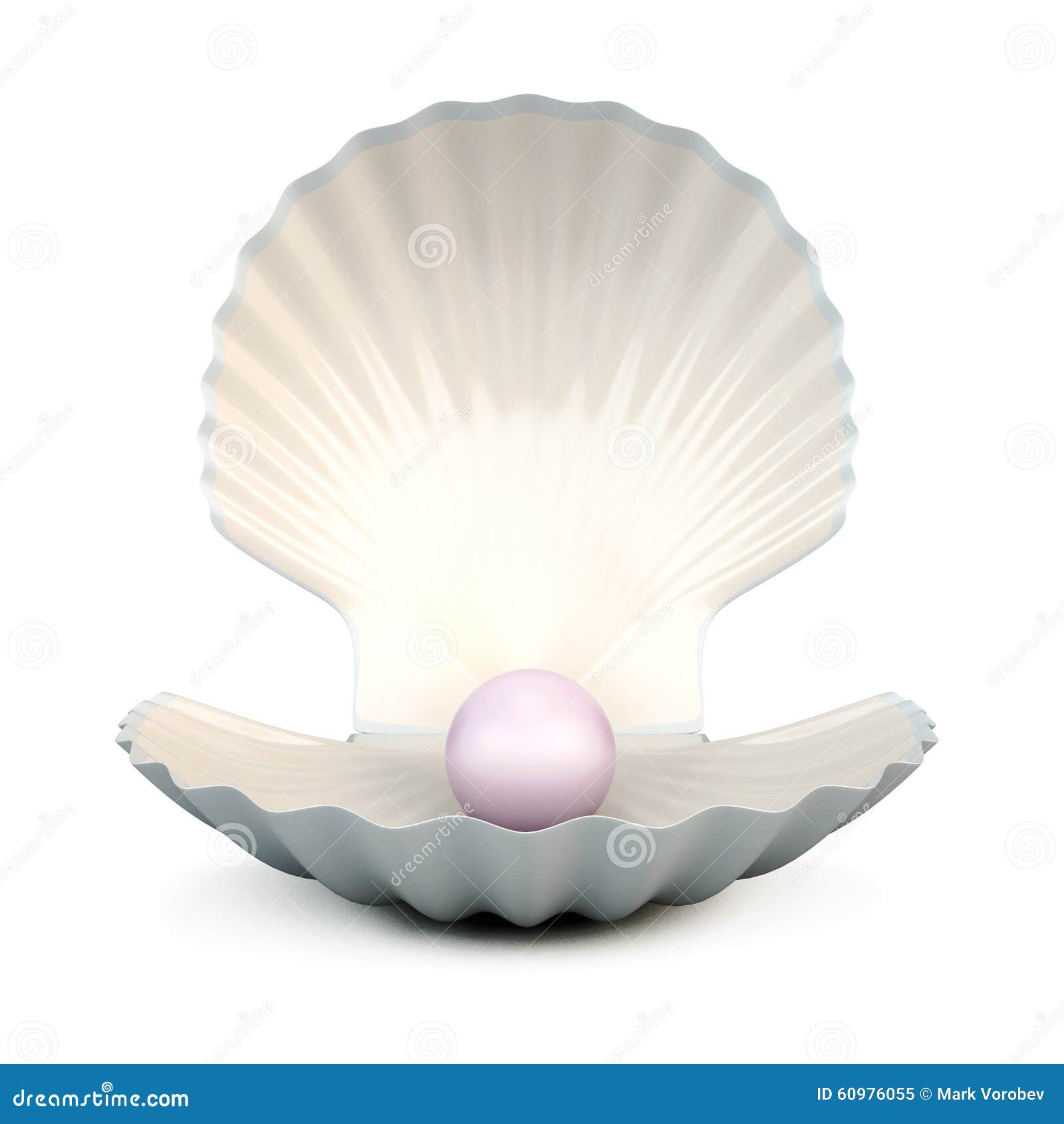 Sea Shell With Pearl Sign Icon. Conch Symbol. Vector Illustration ...