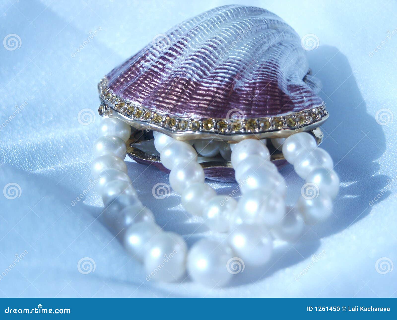 Shell and pearls stock photo. Image of bowl, shell, jeweller - 1261450
