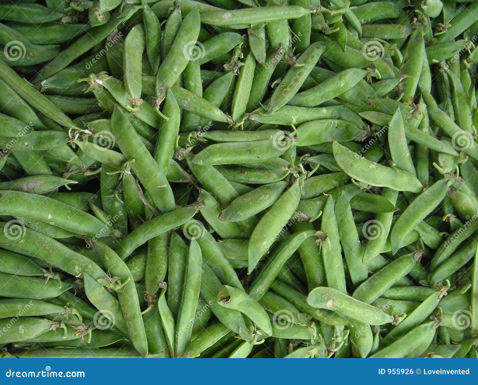 Shell Peas stock photo. Image of green, legumes, marketplace - 955926