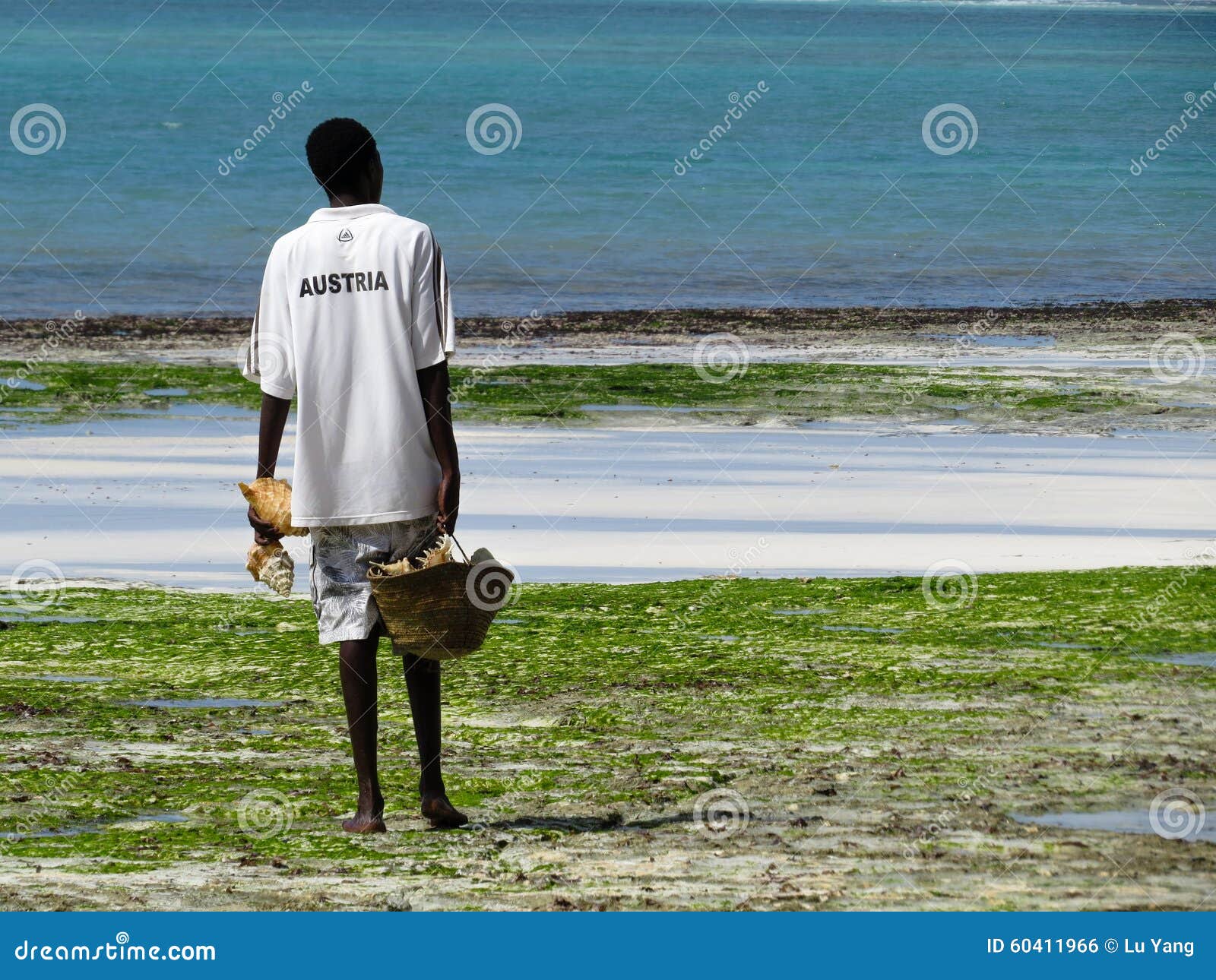 Shell picker editorial photo. Image of walking, diana - 60411966