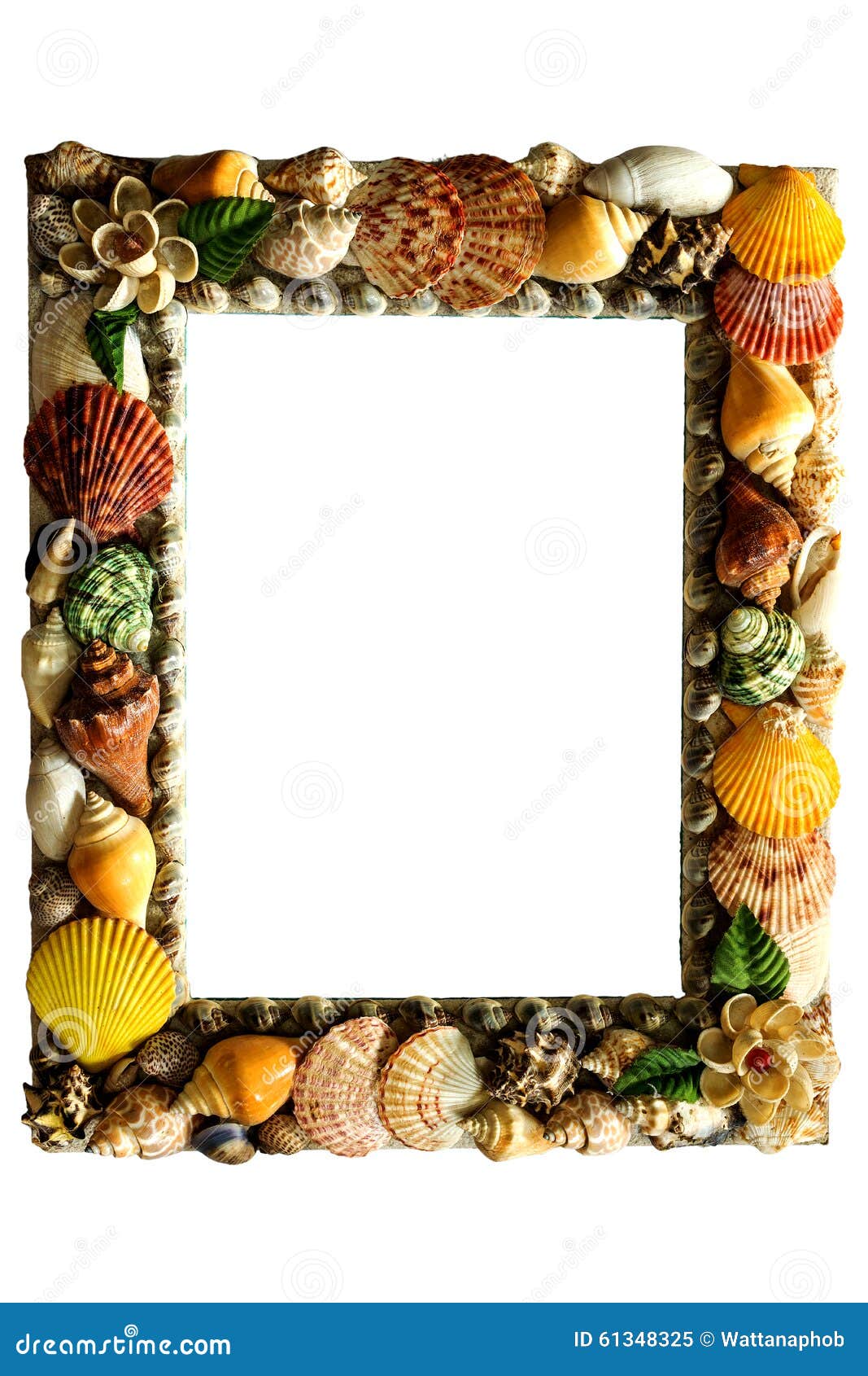 Shell picture frame. stock image. Image of sand, background - 61348325