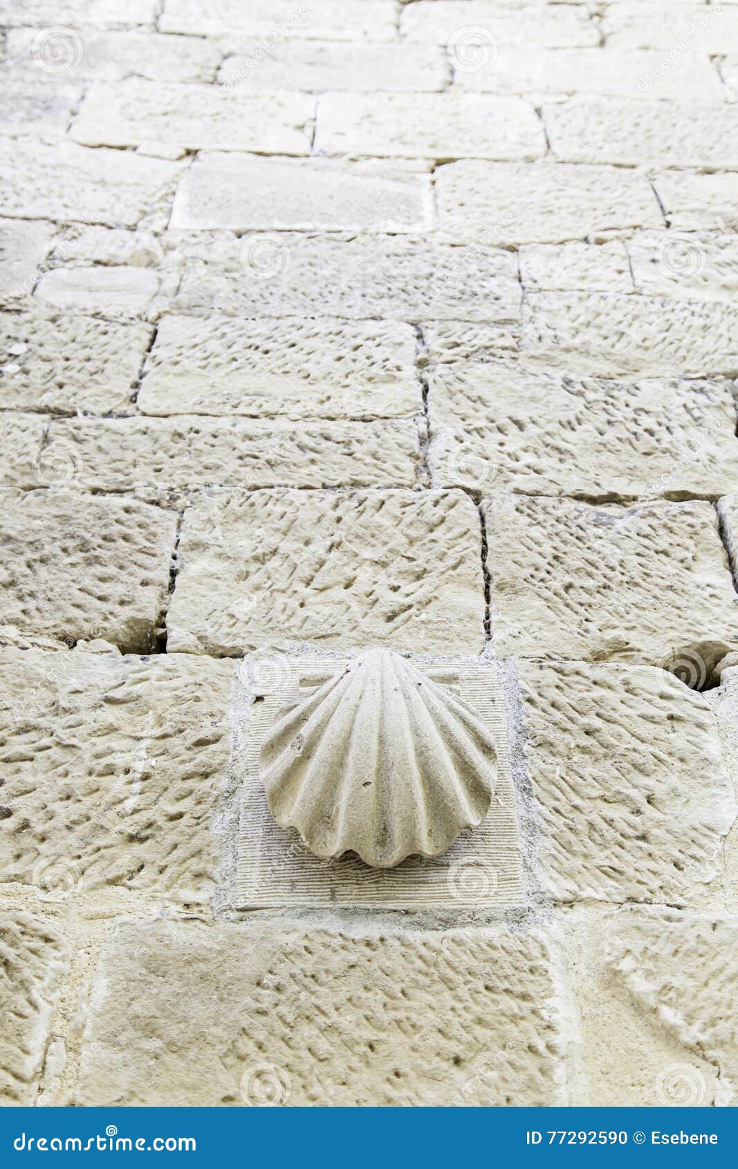 Shell for pilgrims stock photo. Image of jamess, pilgrim - 77292590