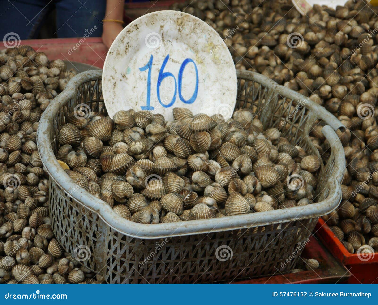 Shell Raw Food foto de archivo. Imagen de mercado, imagen - 57476152