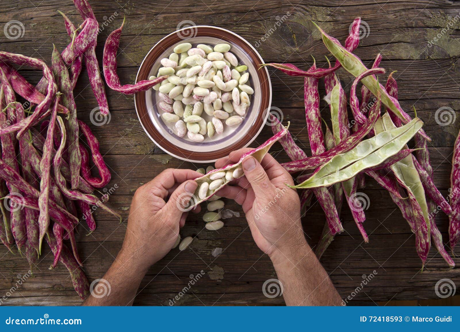 Shell the red beans stock image. Image of bean, legume - 72418593