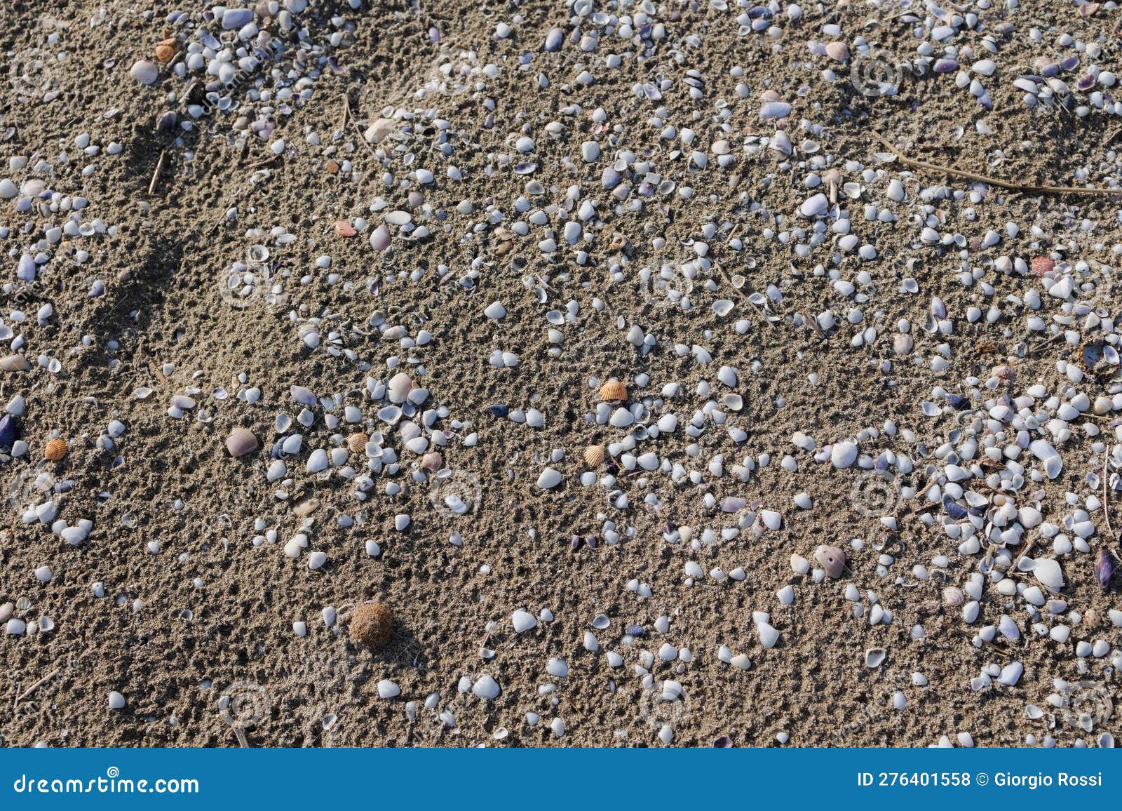 Shell Remains and Small Timbers on the Beach, Seen from Above Stock ...