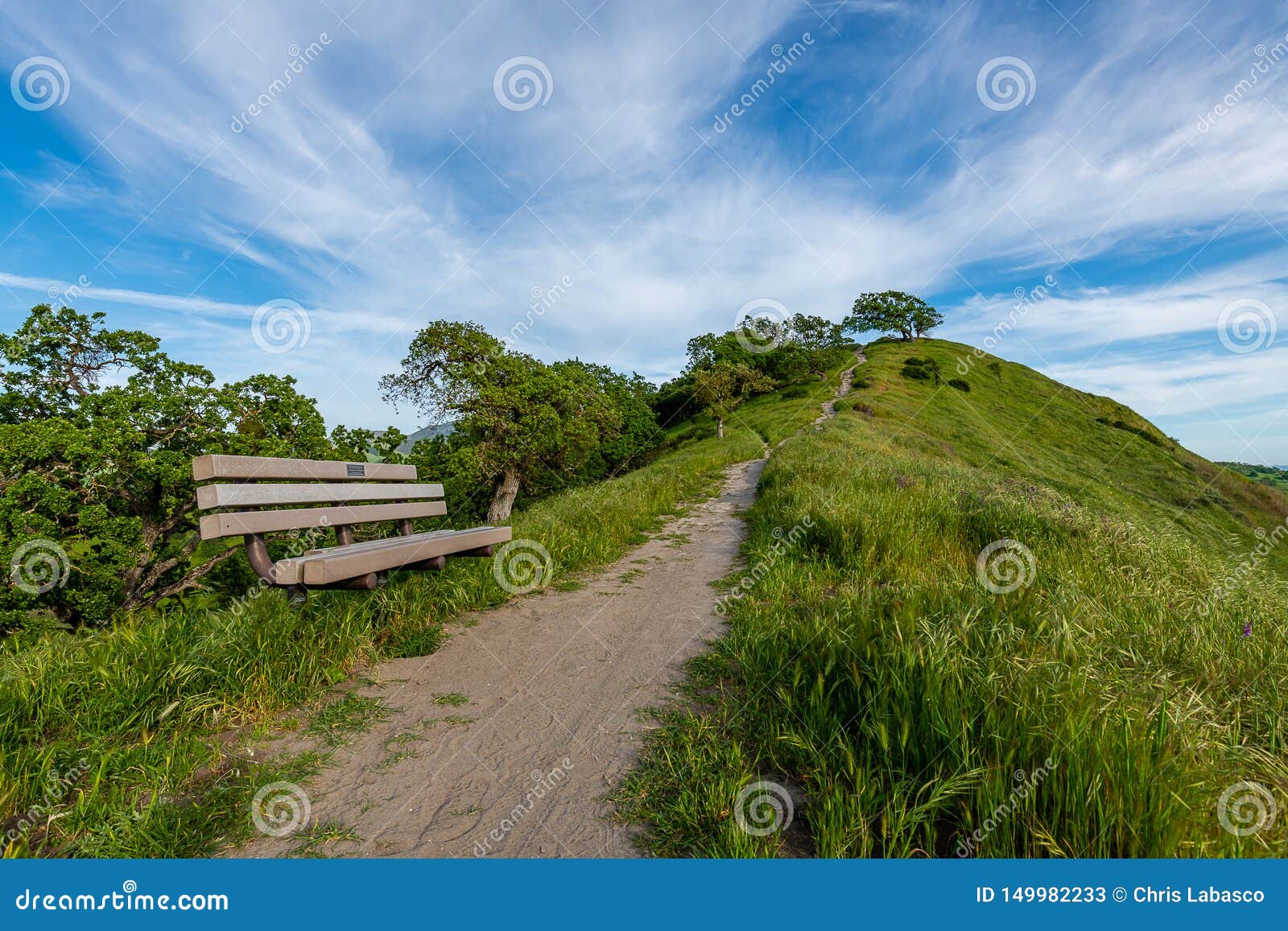 Shell Ridge and Mount Diablo State Park Stock Image - Image of marsh ...