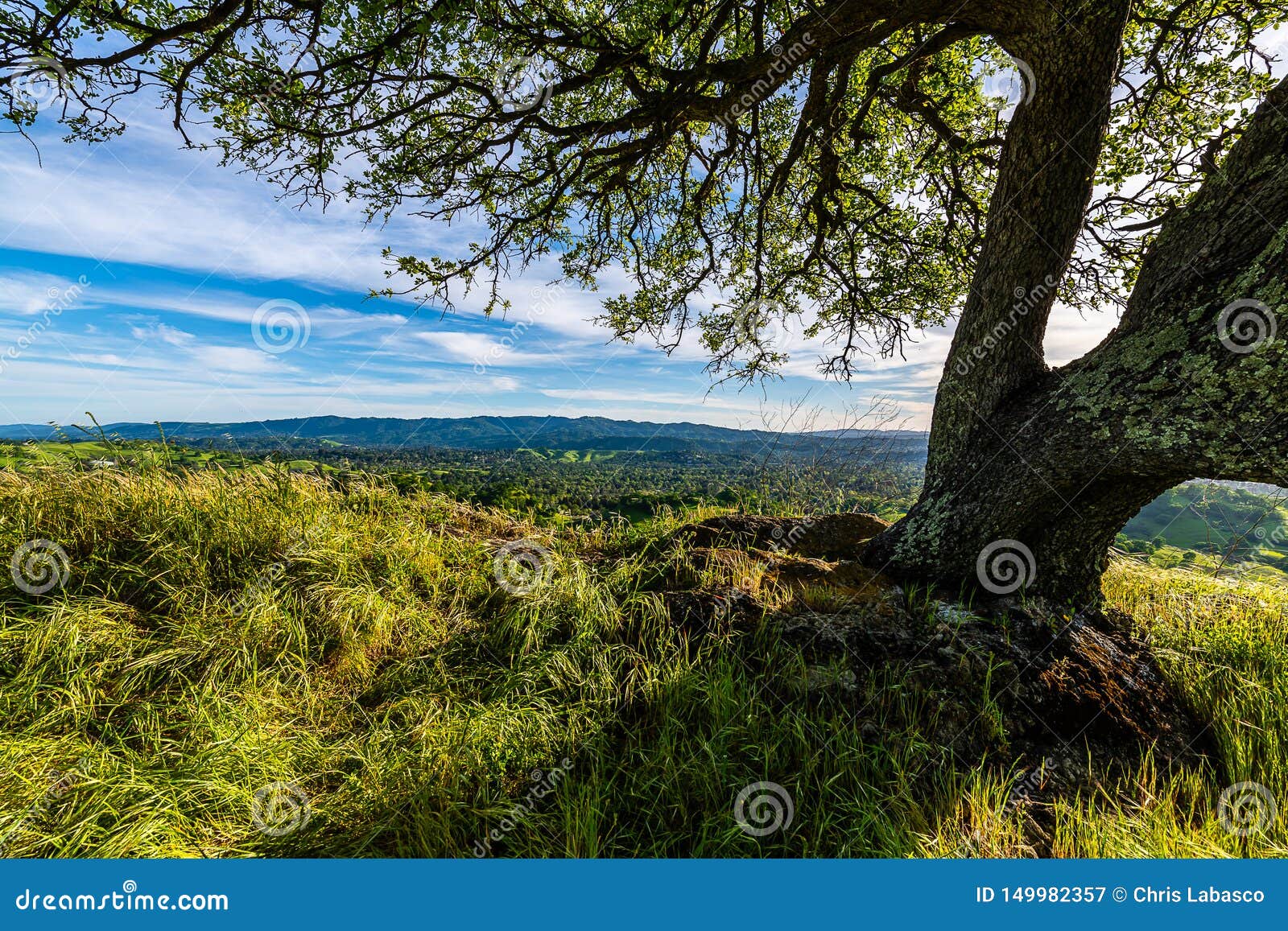 Shell Ridge And Mount Diablo State Park Royalty-Free Stock Photography ...