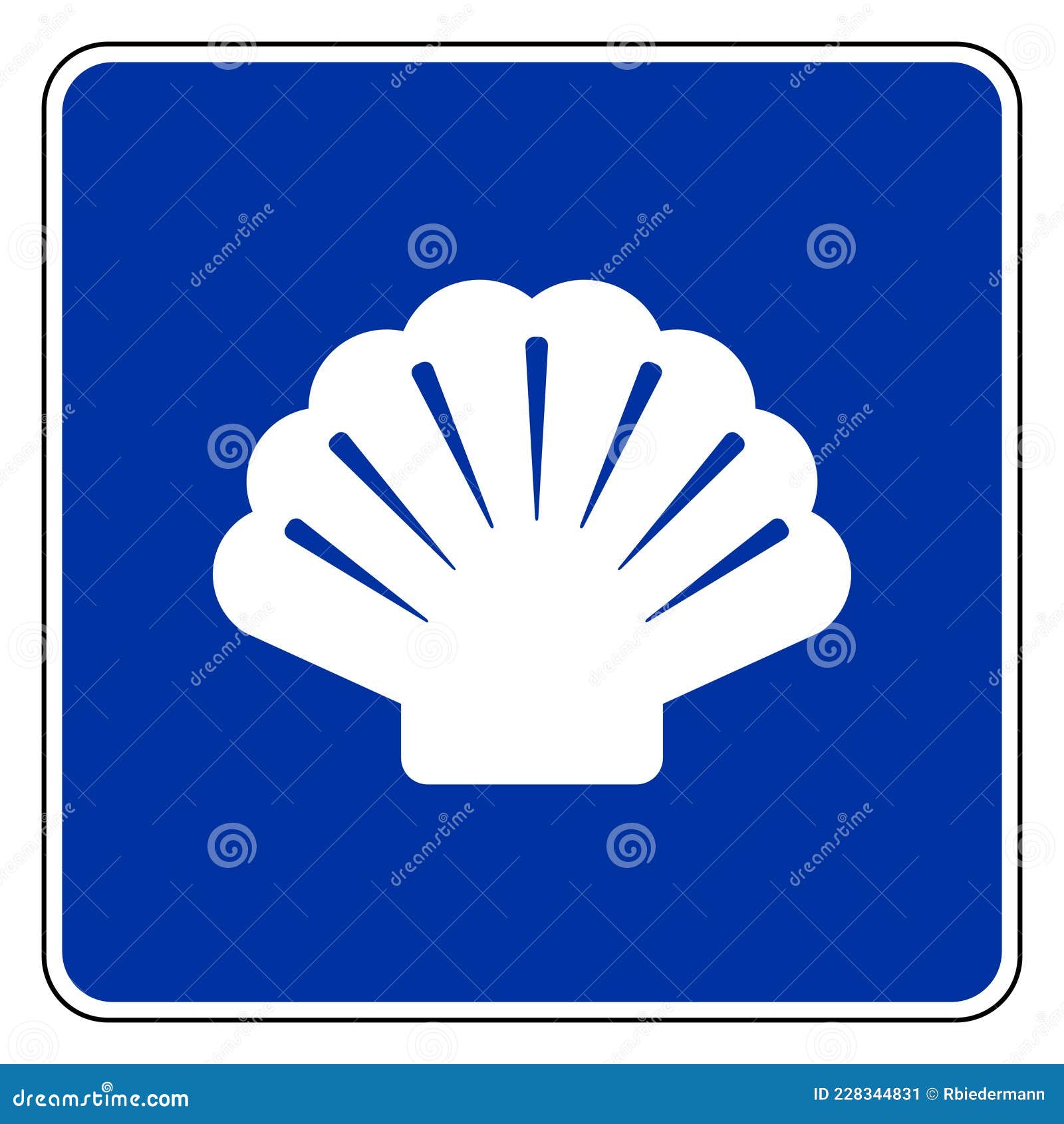 Shell and road sign stock vector. Illustration of aquatic - 228344831