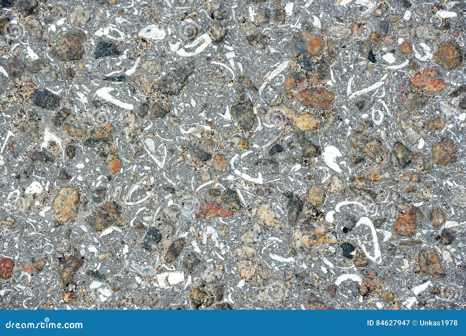 Shell rock background stock image. Image of natural, industry - 84627947