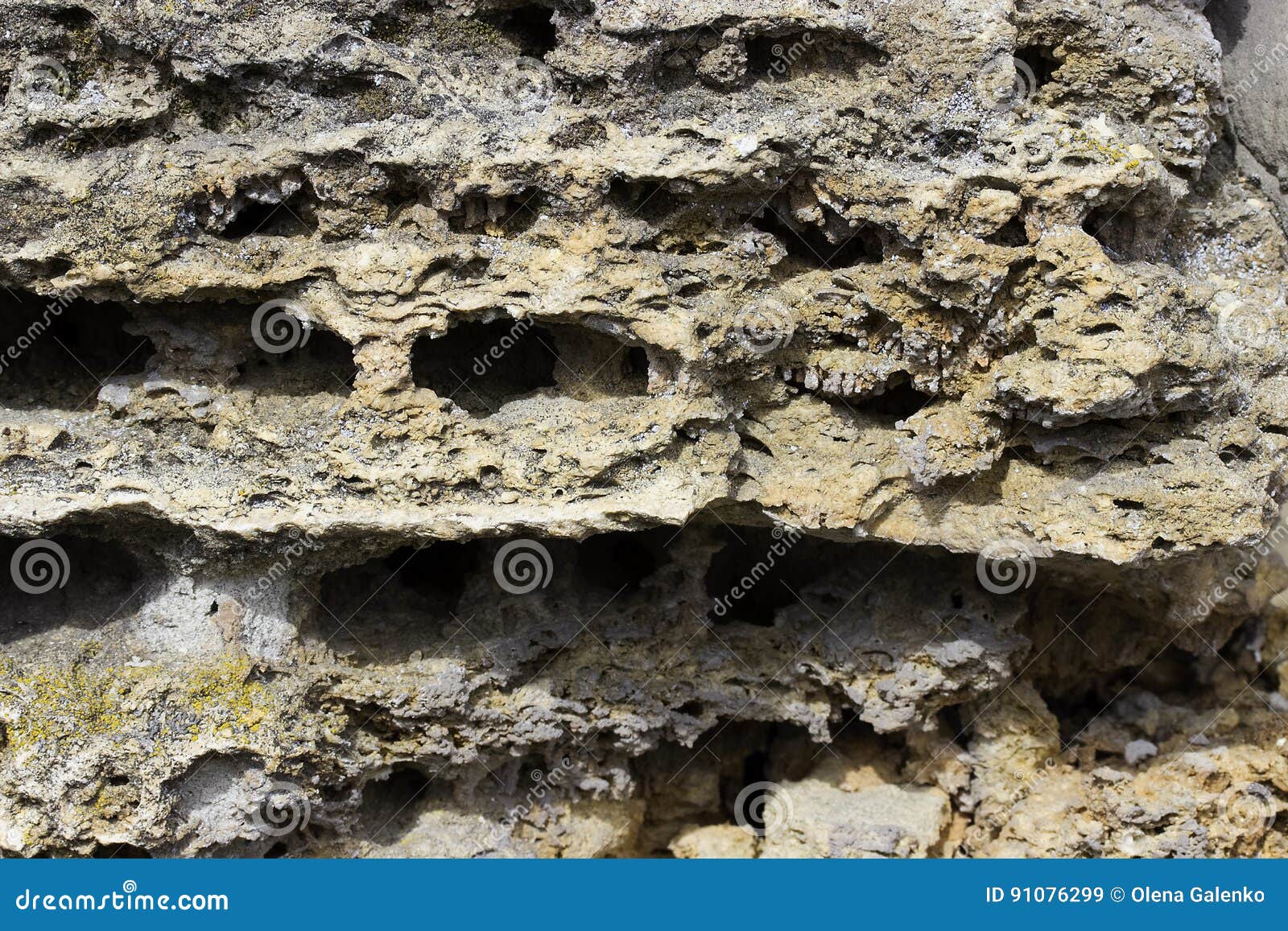 Shell Rock Building Blocks Texture or Background. Stock Image - Image ...
