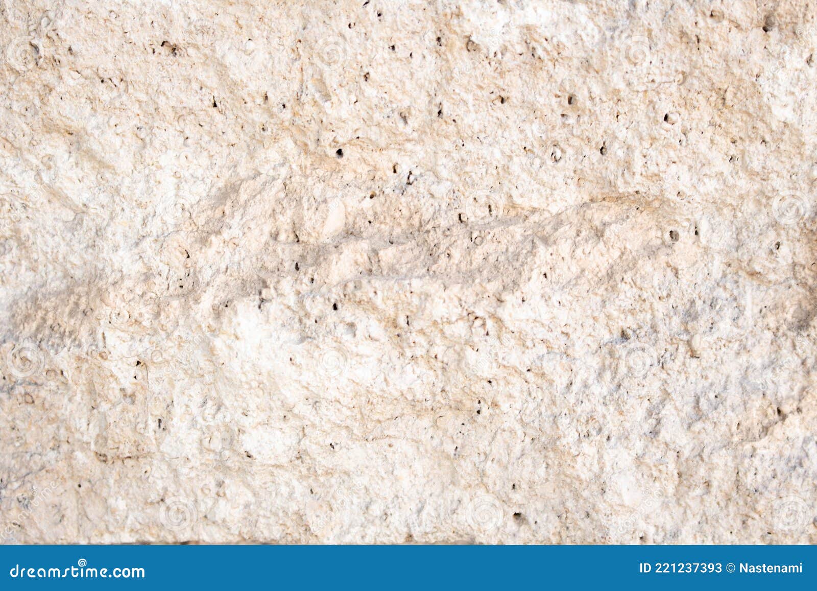 Shell Rock. Finishing, Front Stone. Light Beige. Texture, Background ...