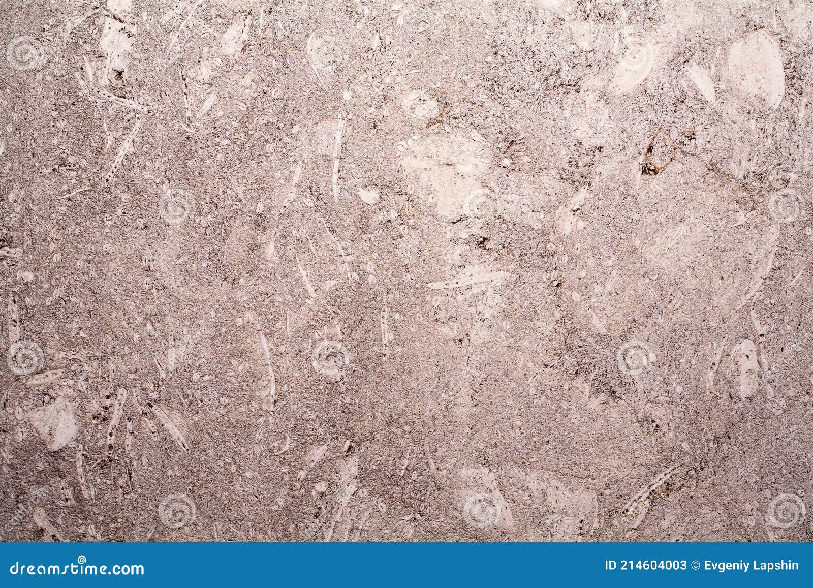 Shell Rock is a Limestone Composed of Calcium Salts. in the Field of ...