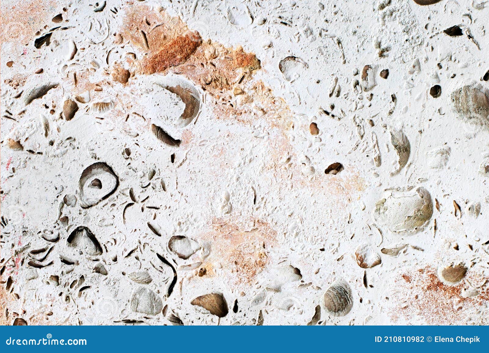 Shell Rock Limestone Texture Background. Natural Stone Background ...