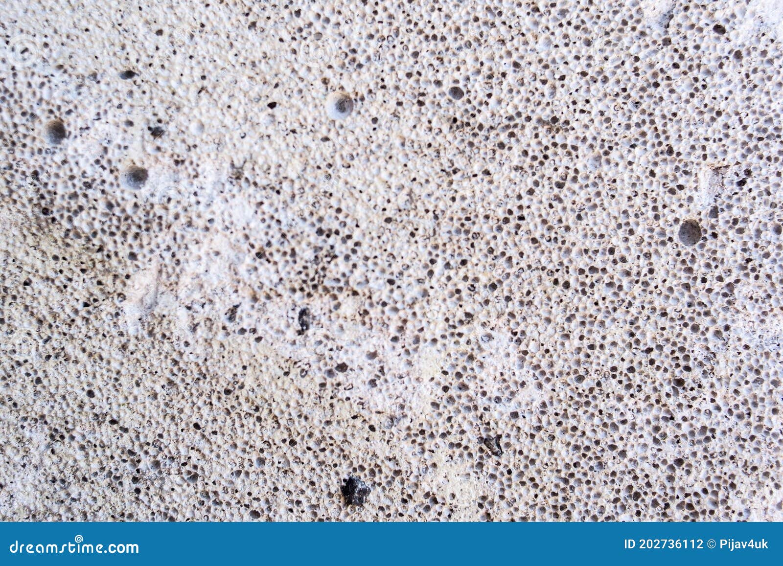 Shell Rock Limestone Texture Background Stock Photo - Image of beige ...