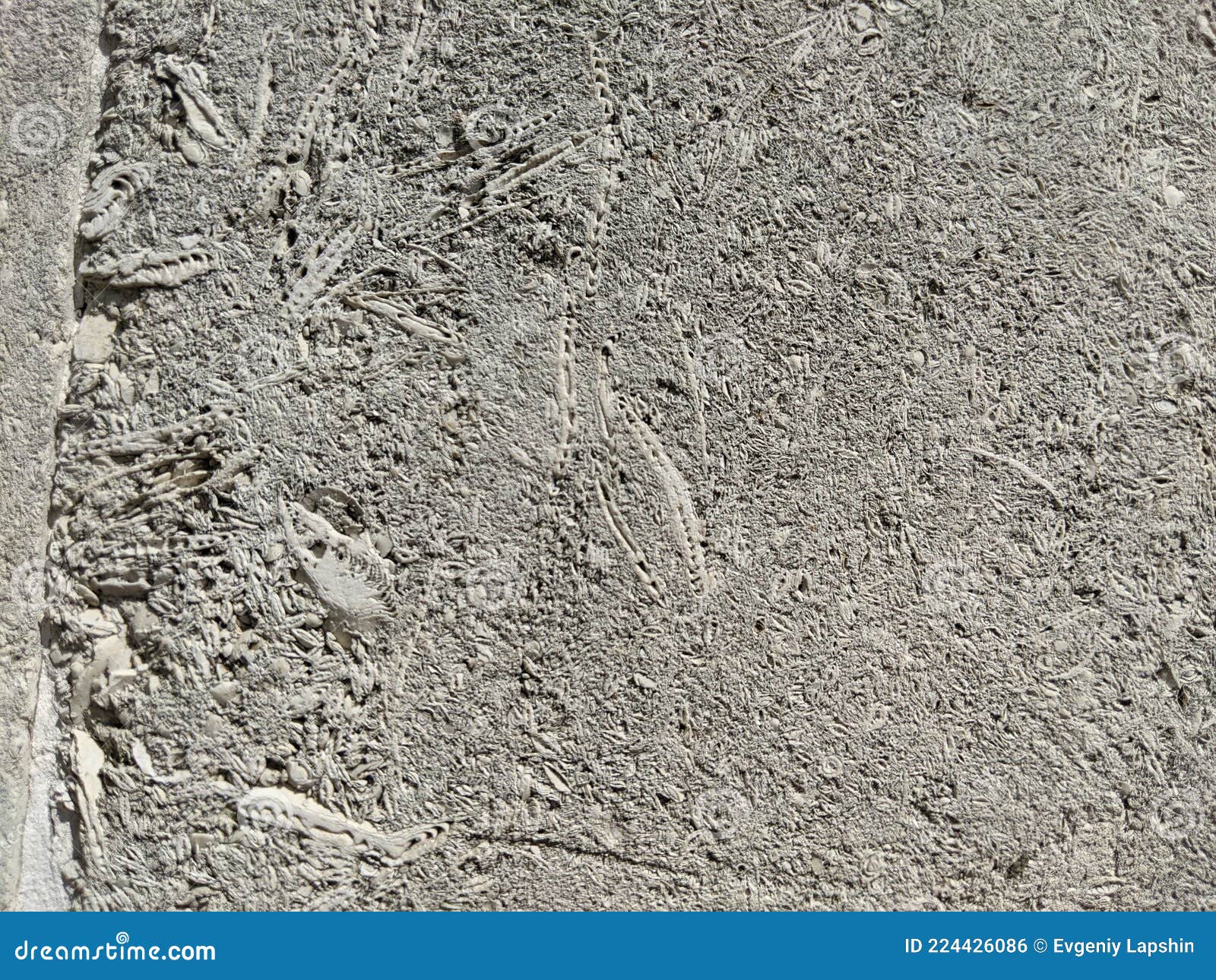 Shell Rock, Sedimentary Ancient Rock, Former Ocean Floor Stock Photo ...