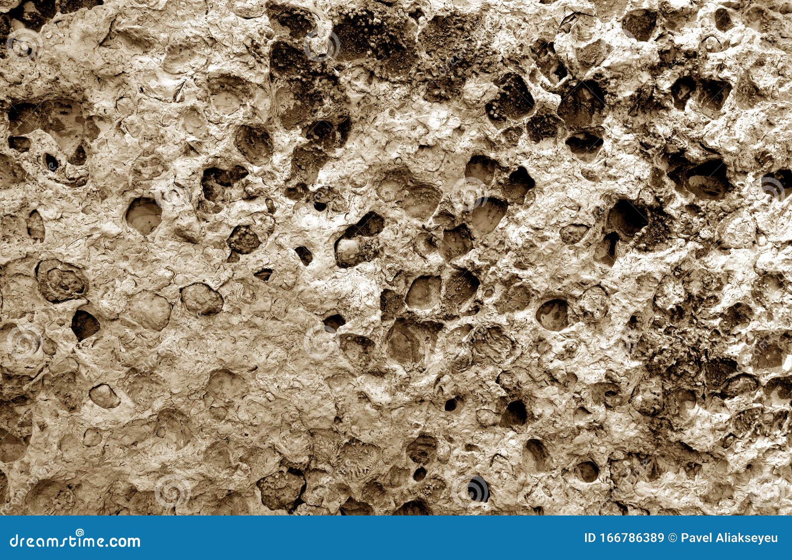 Shell Rock Stone Close-up in Brown Tone Stock Image - Image of detail ...