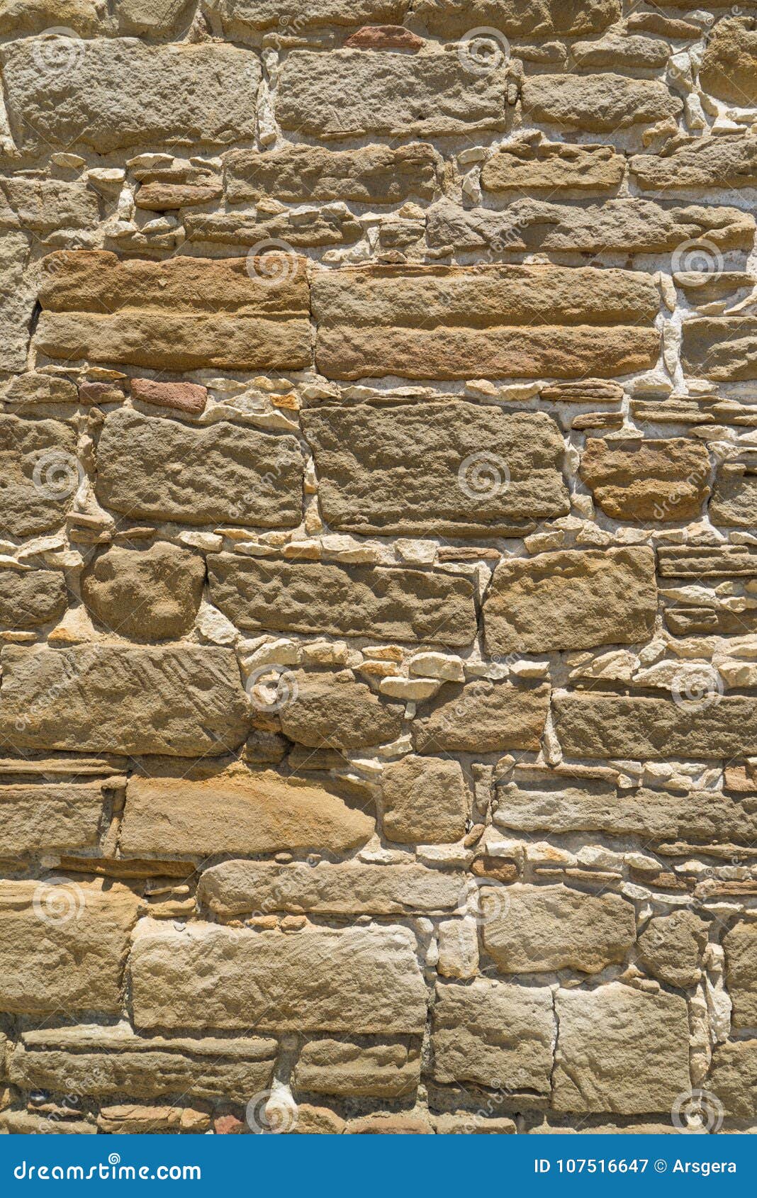 Shell Rock Stone Wall Texture or Background Stock Image - Image of ...
