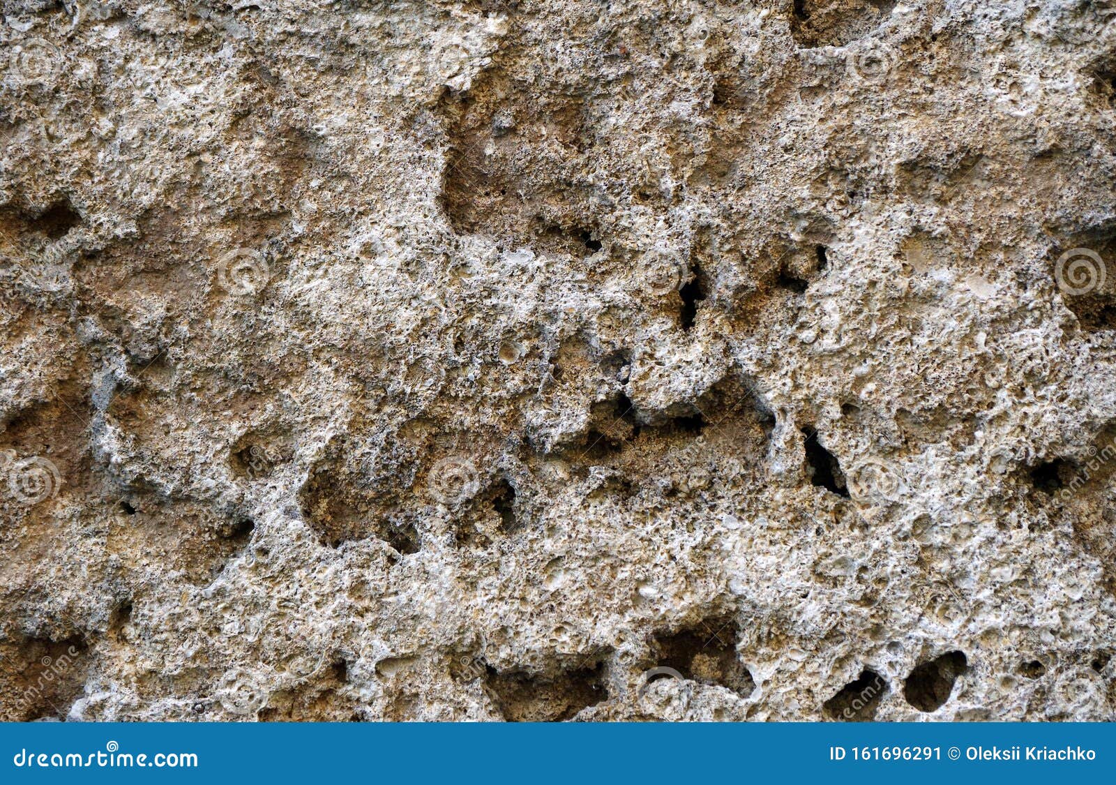 Shell Rock Texture Background. Fragment of a Shell Rock Surface ...