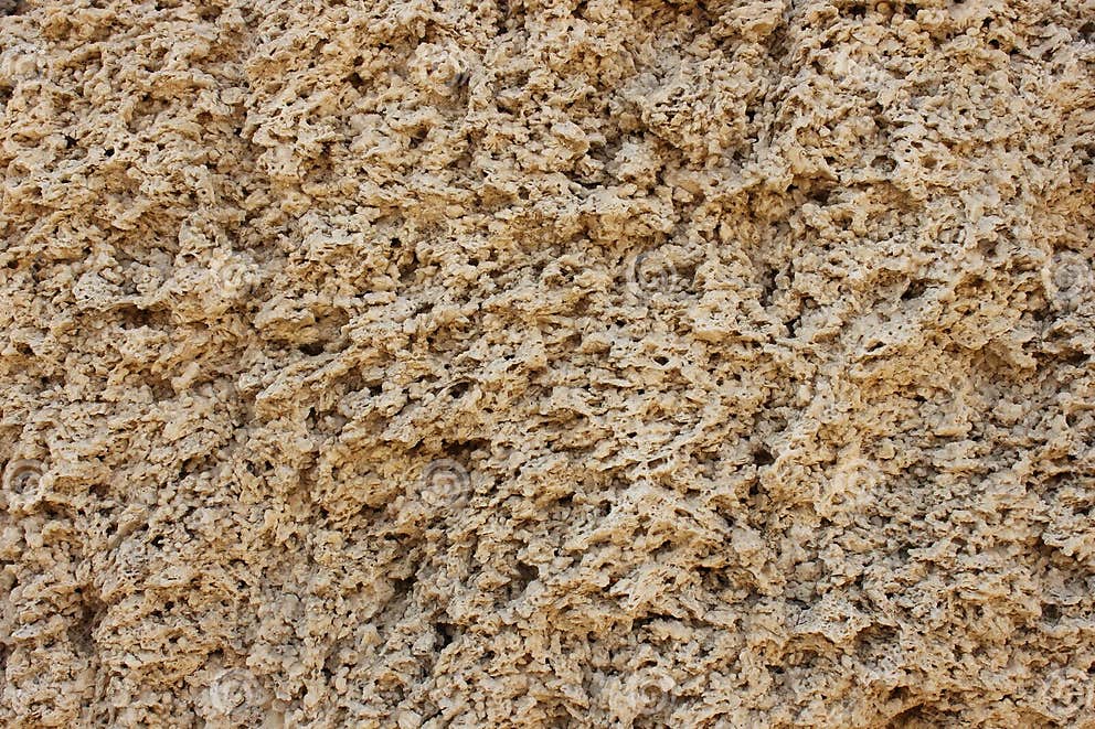 Shell rock texture stock image. Image of limestone, material - 35447969
