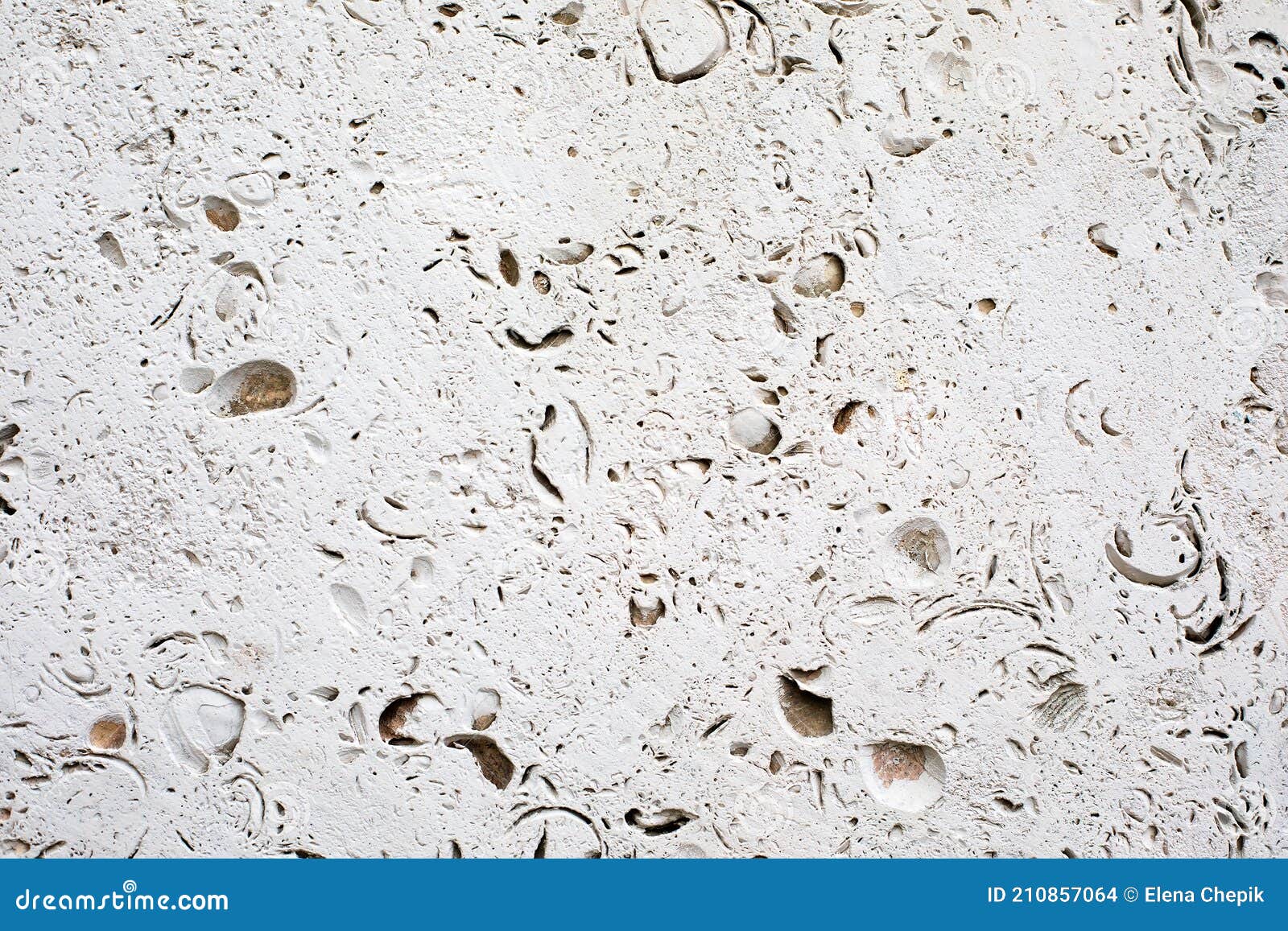 Shell Rock Limestone Texture Background. Natural Stone Background ...