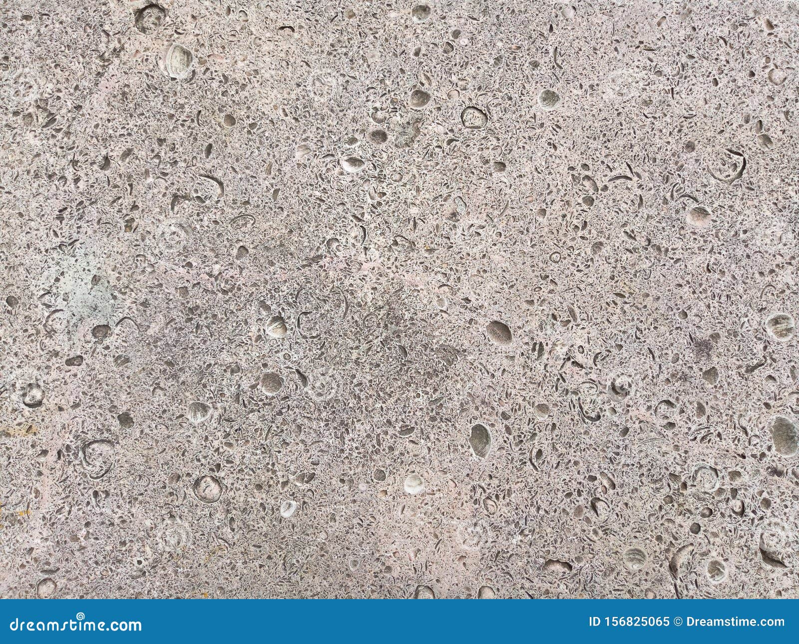 Shell rock texture stock image. Image of brick, design - 156825065