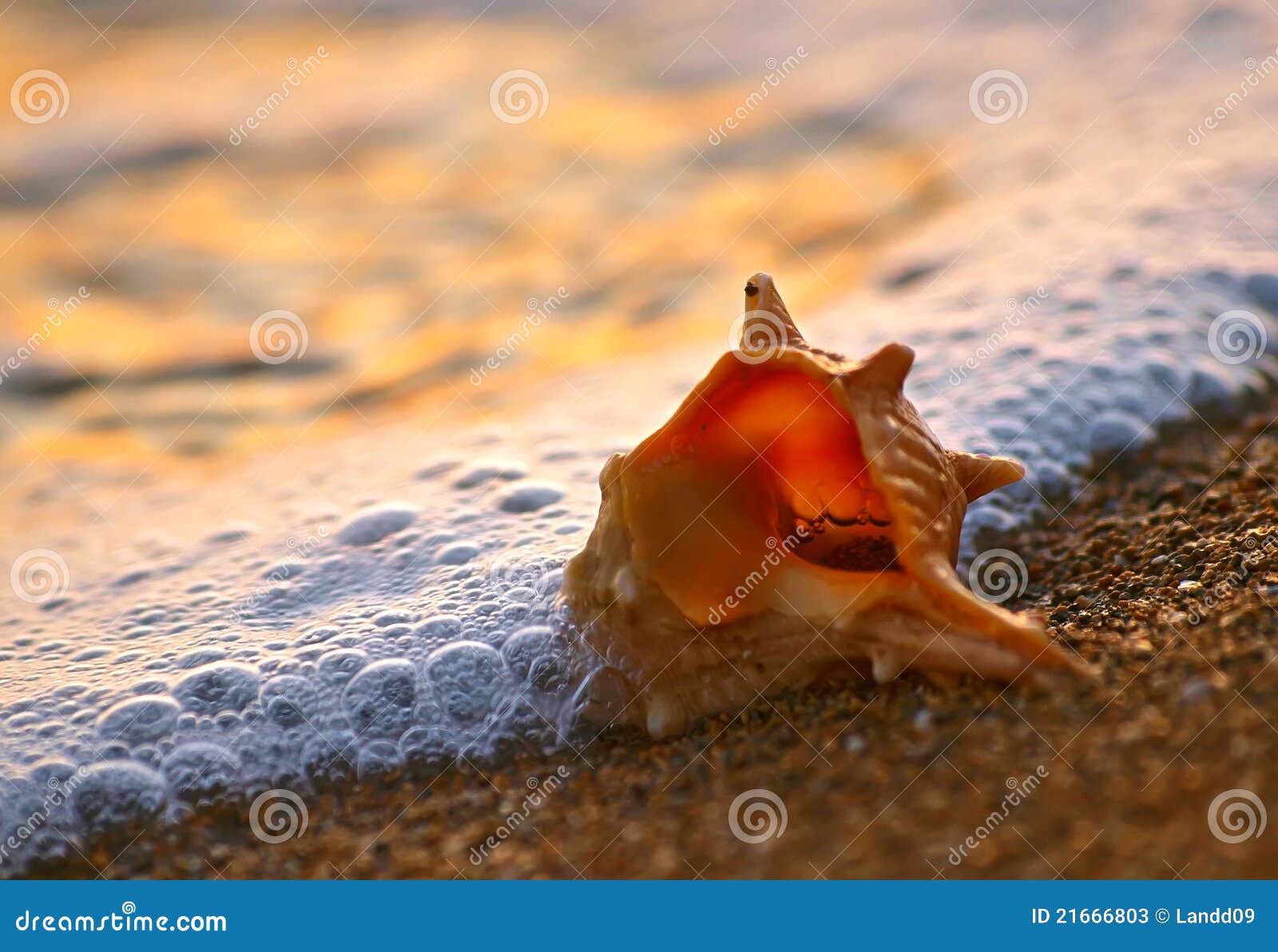 Bubbles Blur Hdr Stock Photos - Free & Royalty-Free Stock Photos from ...