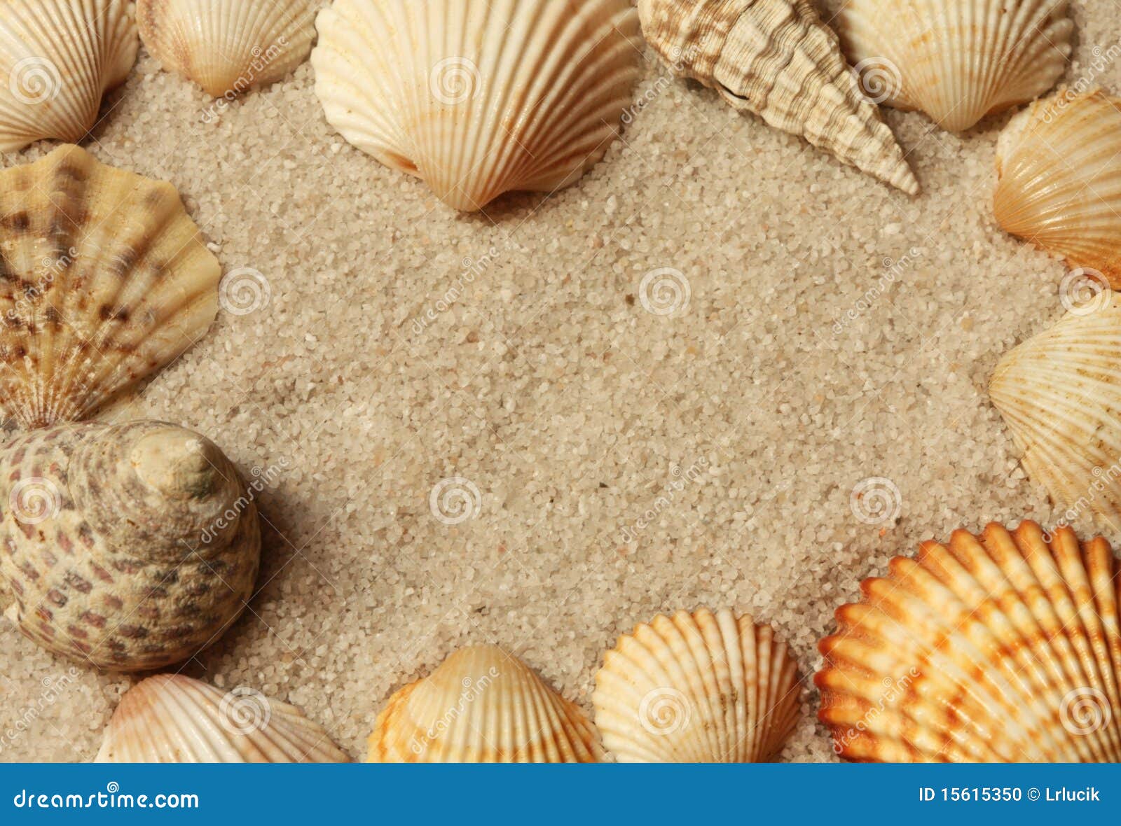 Shell and Sand Frame Border Stock Photo - Image of decorative, conch ...