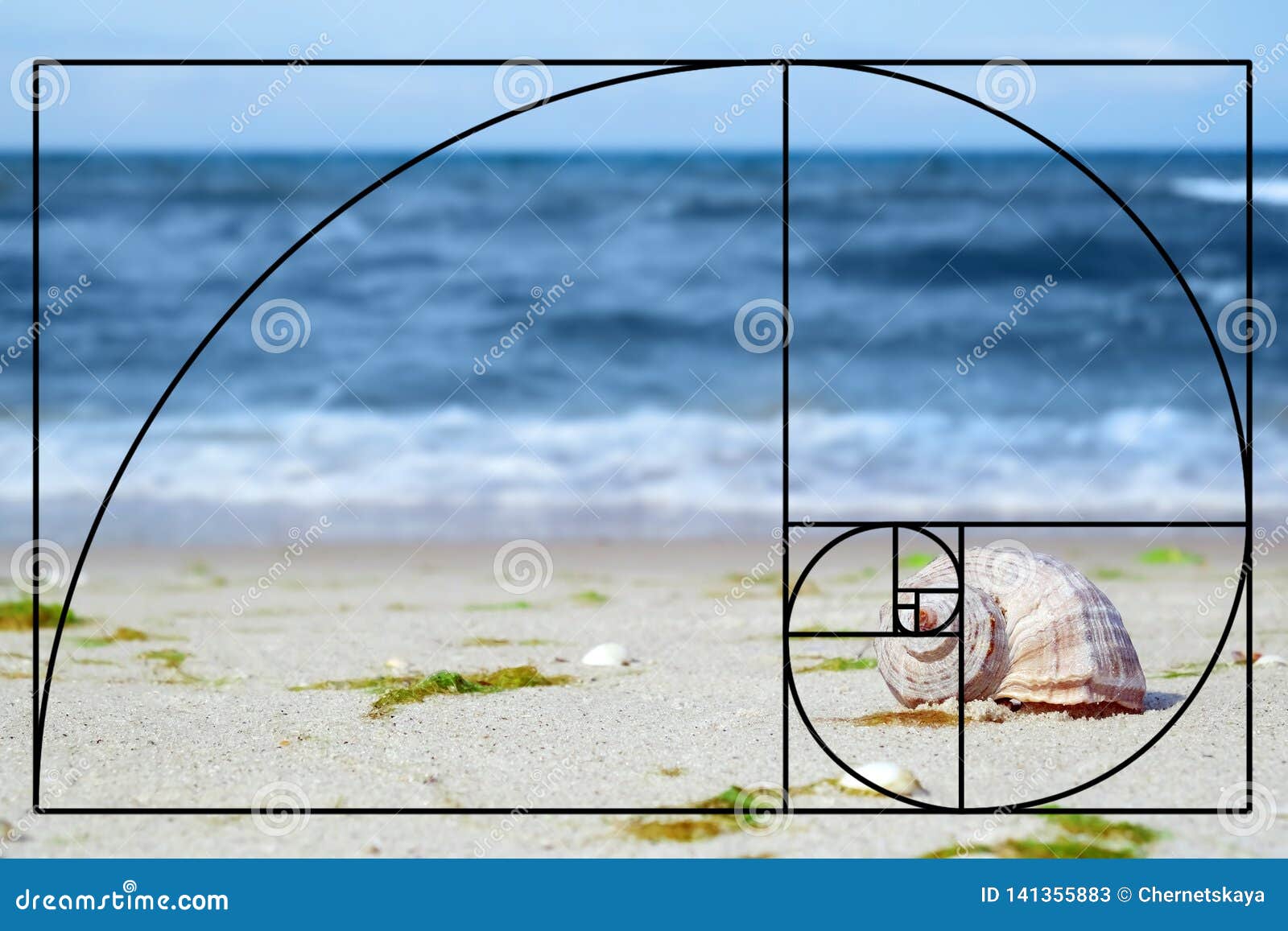 Fibonacci Animals