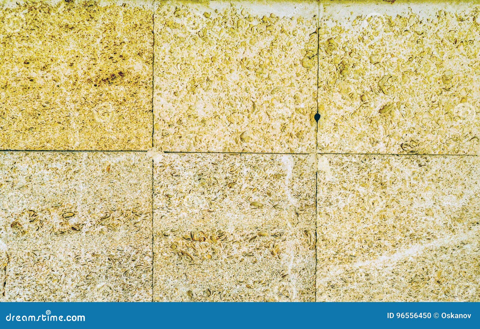 Shell Sandstone Texture Royalty-Free Stock Photography | CartoonDealer ...