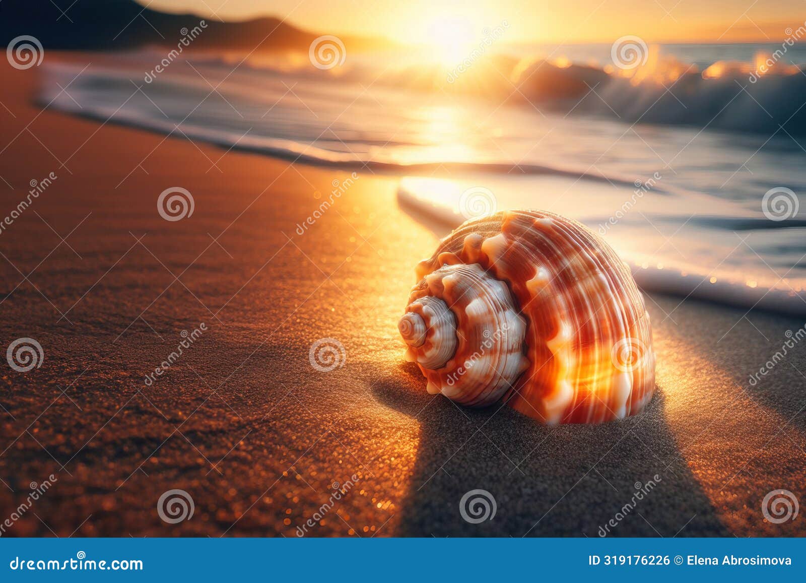 Shell on Sandy Beach at Sunset, Vibrant Red-orange Light. Perfect for ...
