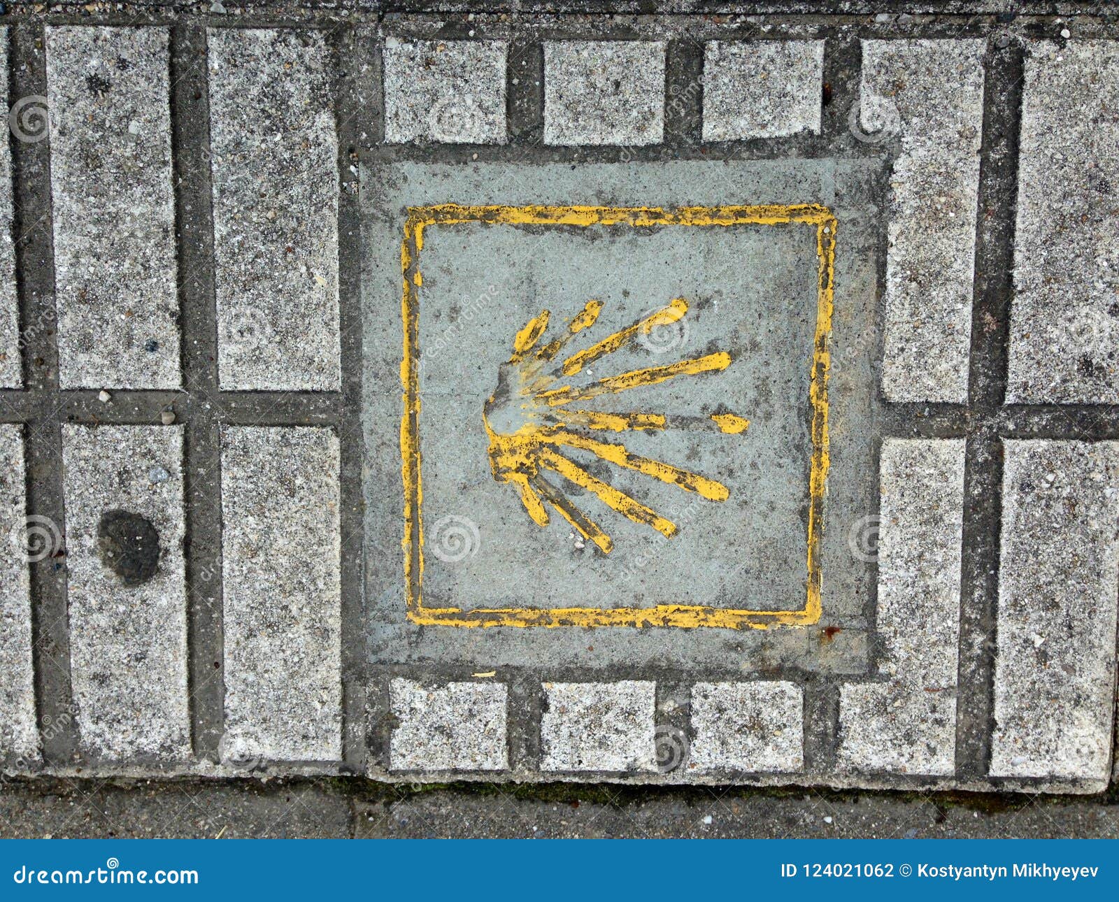 Shell Scallop Symbol of the Way of St. James Stock Photo - Image of ...