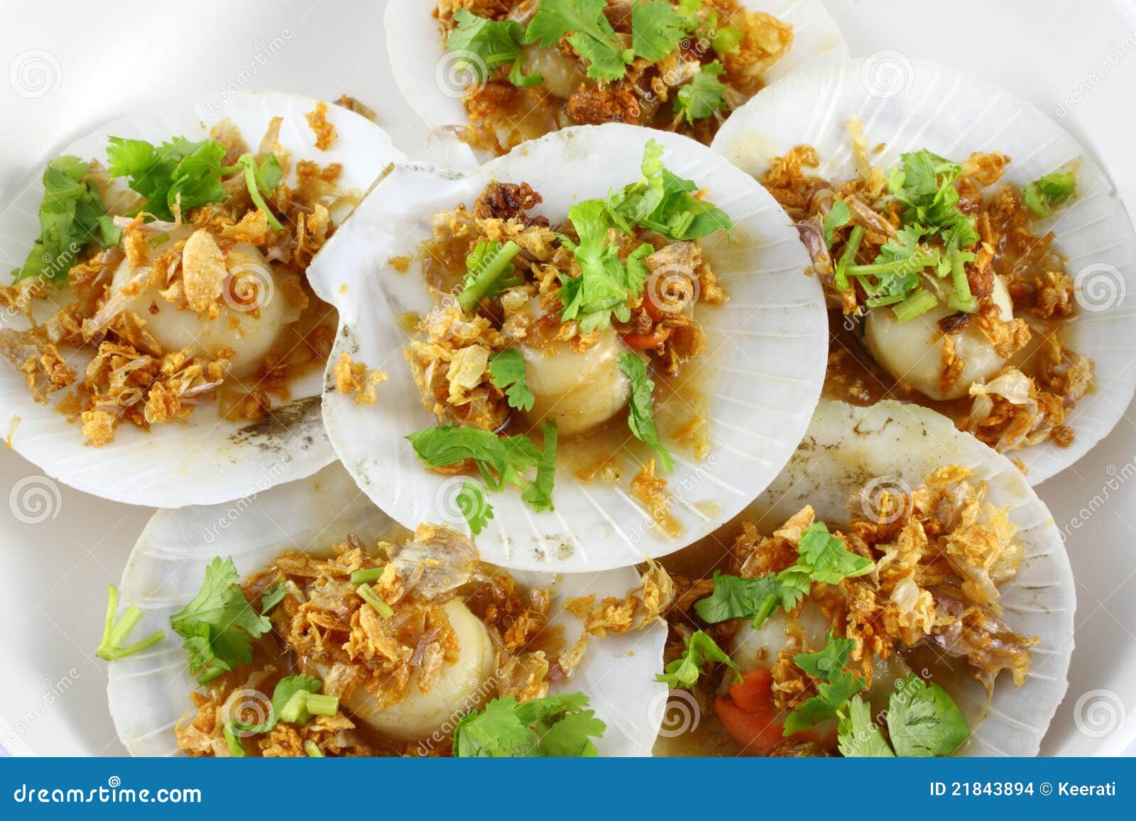 Shell sea food stock photo. Image of kitchen, fried, chef - 21843894