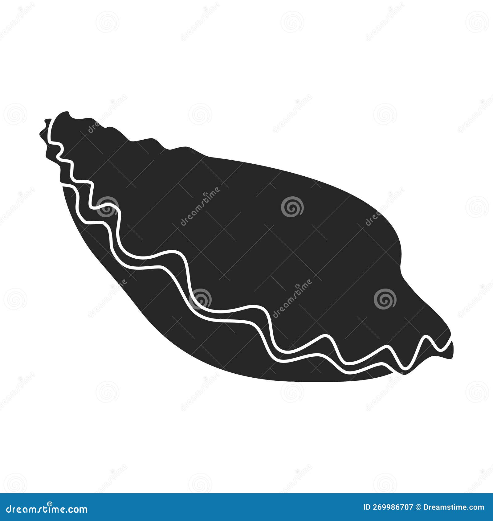 Shell Sea Vector Black Icon. Vector Illustration Sea Shell on White ...