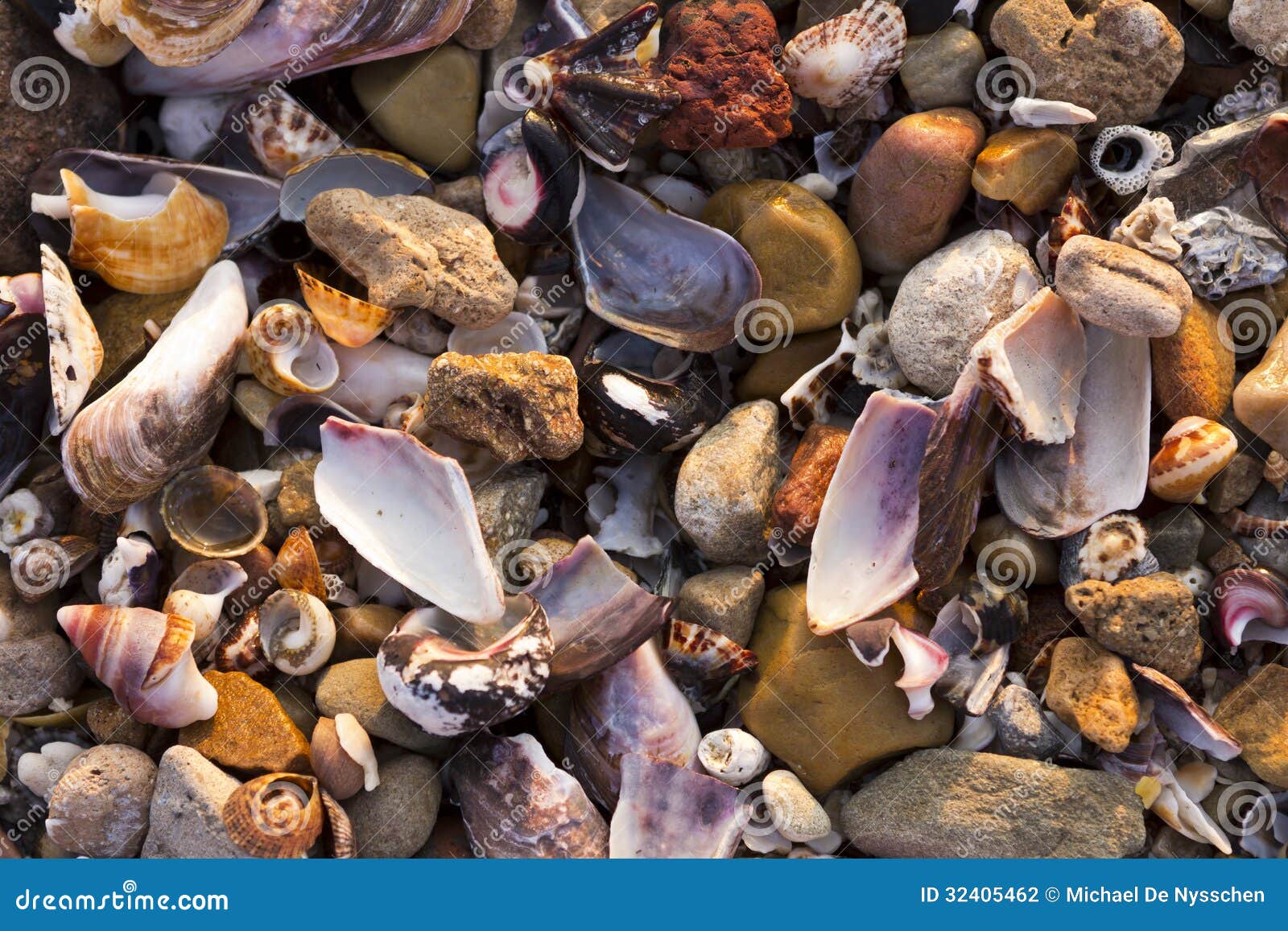 Colourful Shell and Seaside Background Stock Photo - Image of colorful ...