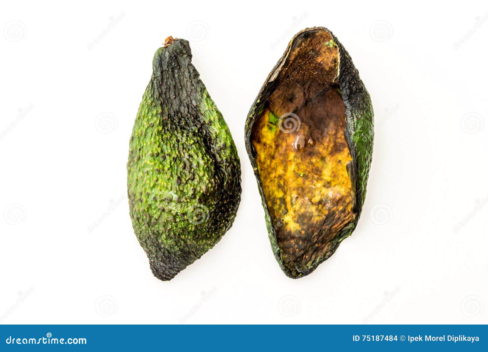 Shell secco dell'avocado fotografia stock. Immagine di secco - 75187484