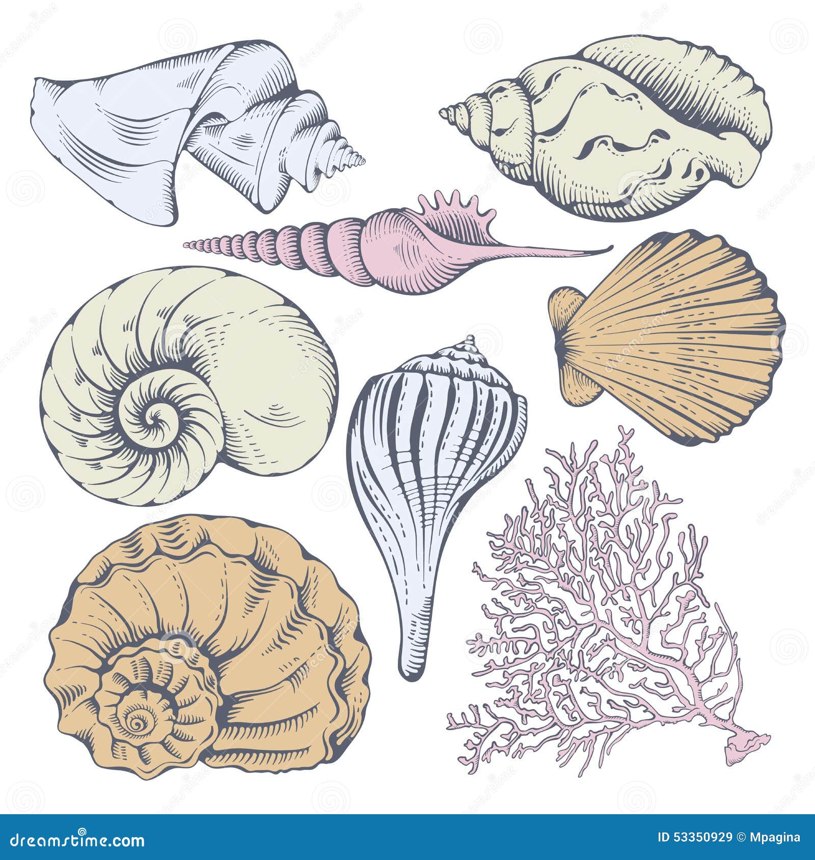 Shell set stock vector. Illustration of doodle, abstract - 53350929