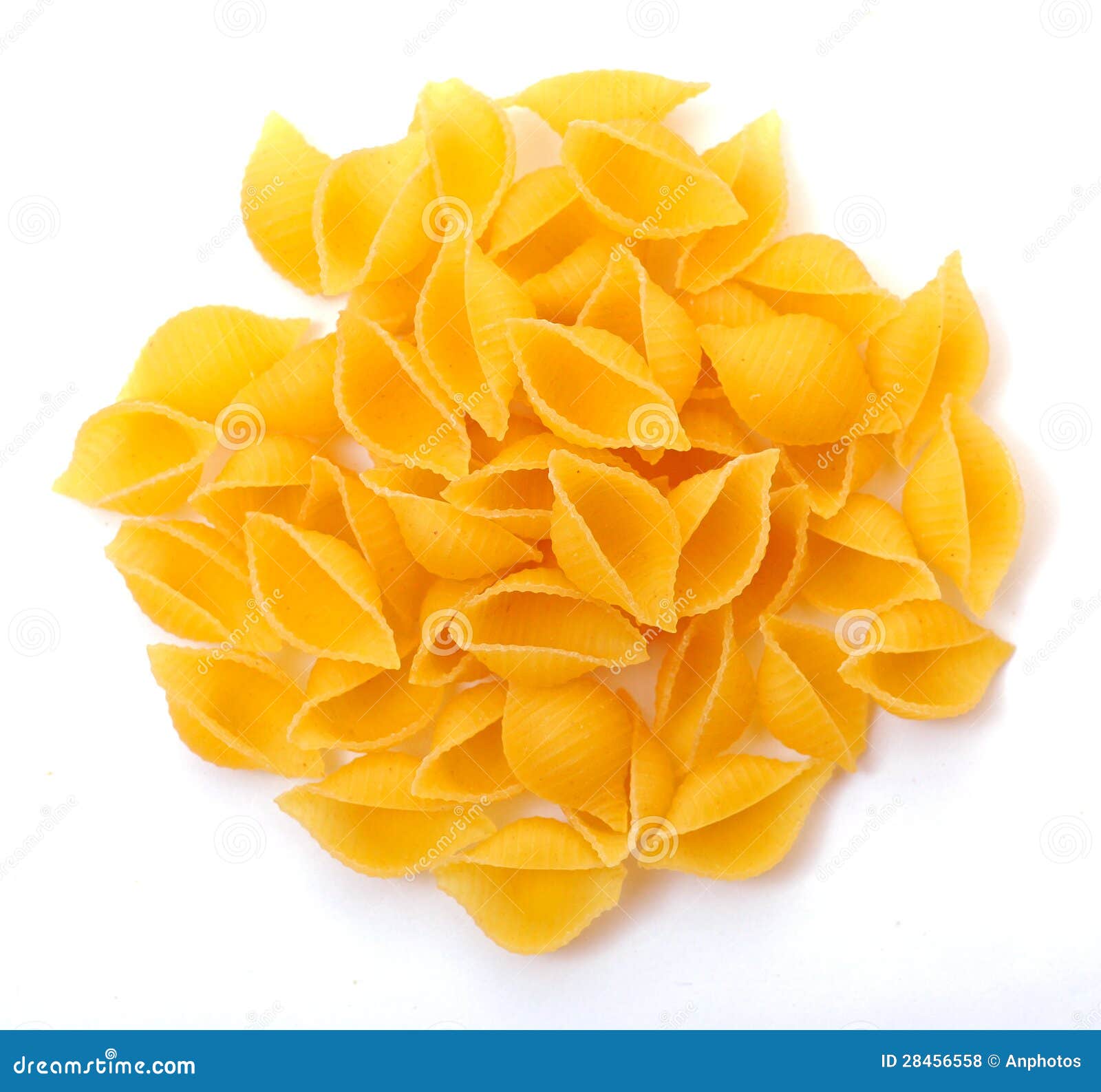 Shell shape pasta stock photo. Image of spaghetti, twists - 28456558