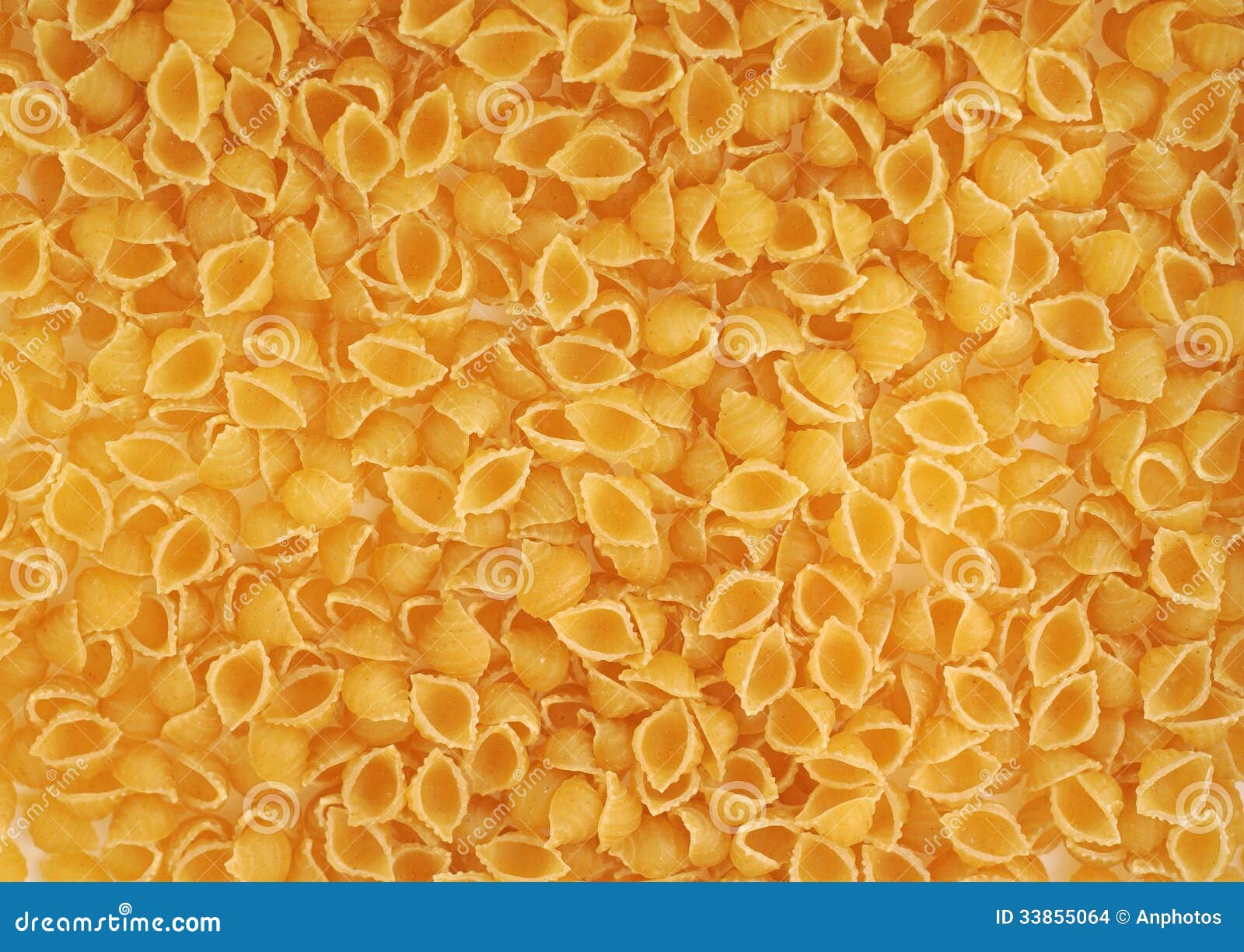 Shell shape pasta stock photo. Image of straw, calories - 33855064